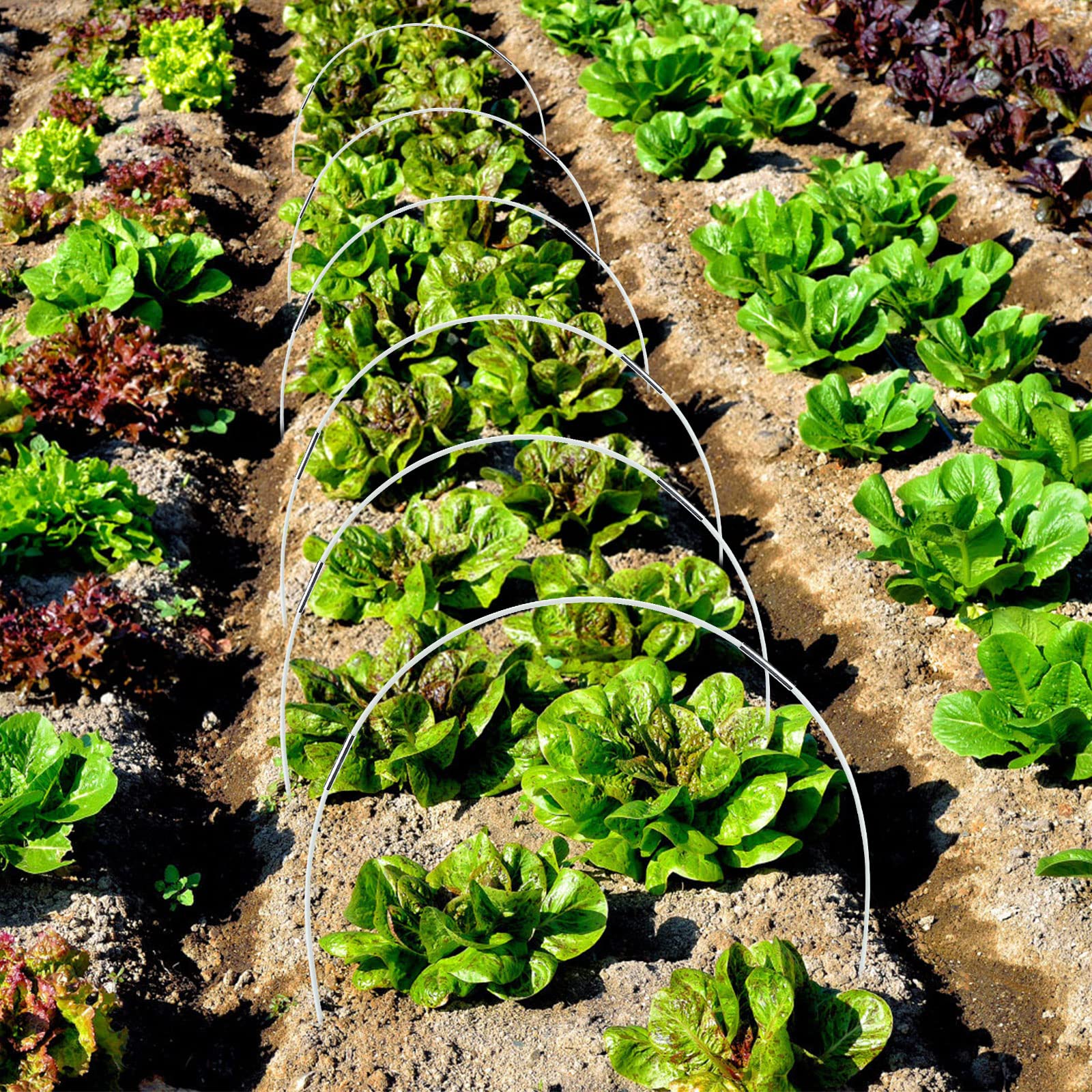 Snapklik.com : Replacement Fiberglass Long Arch Poles For Bike Tent ...