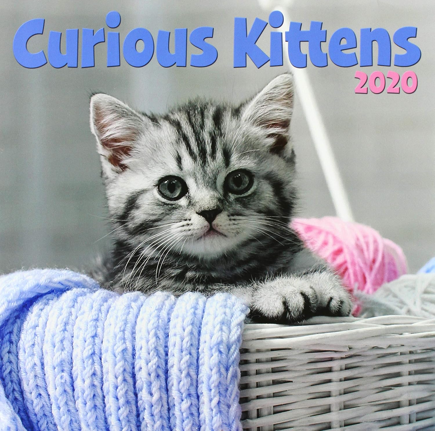Curious Kittens 2020 Calendar: Lang Companies, Inc.: 9781469362762 ...