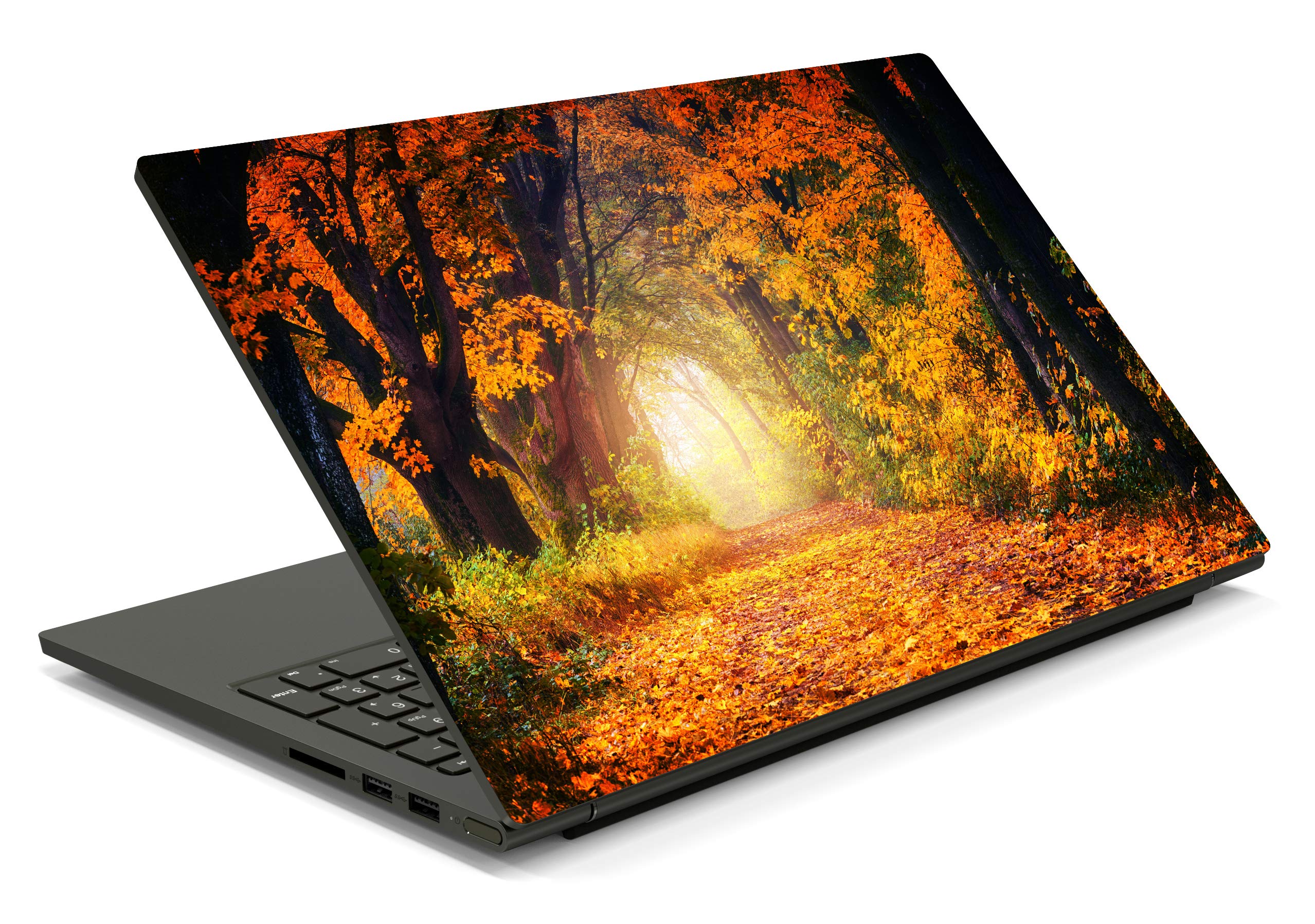 ISEE 360® Tree Path Laptop Skin Cover Laminated Stickers for Vinyl ...