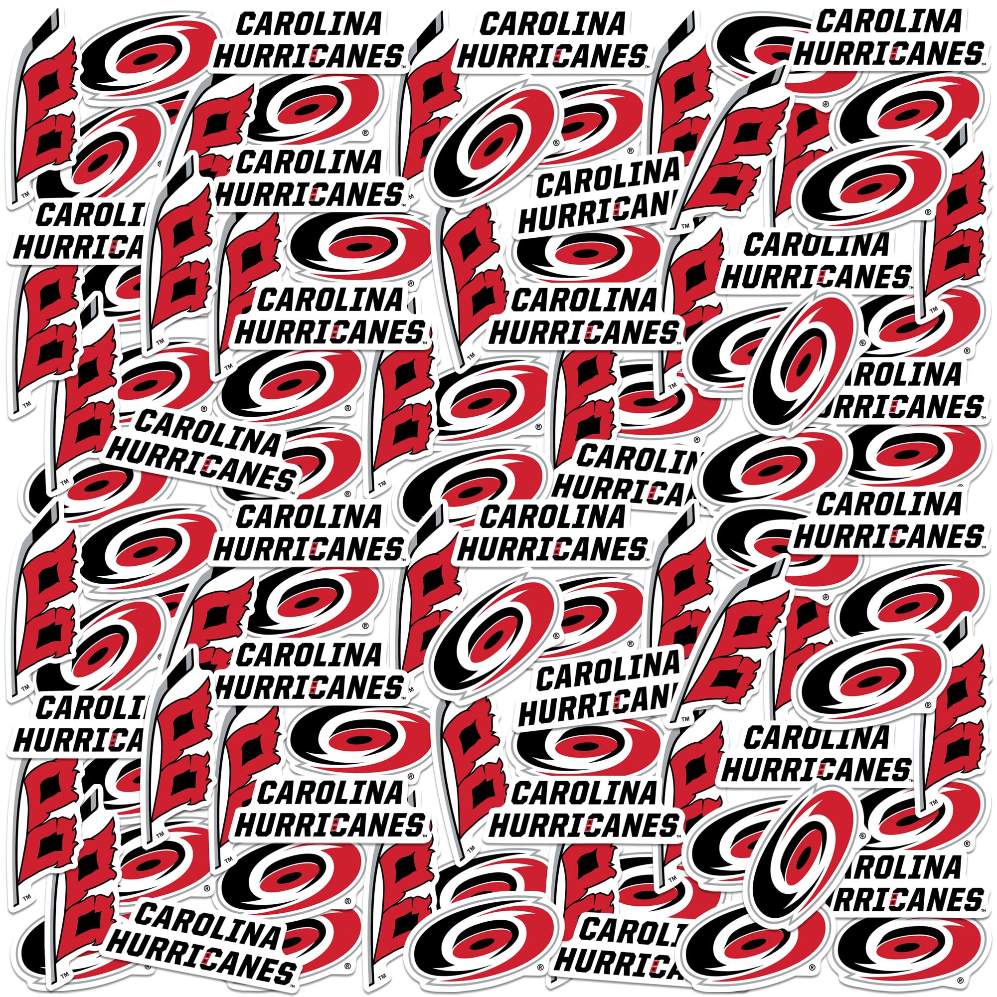 Amazon.com: NHL Logo Carolina Hurricanes 100ct Vinyl Large Deluxe ...