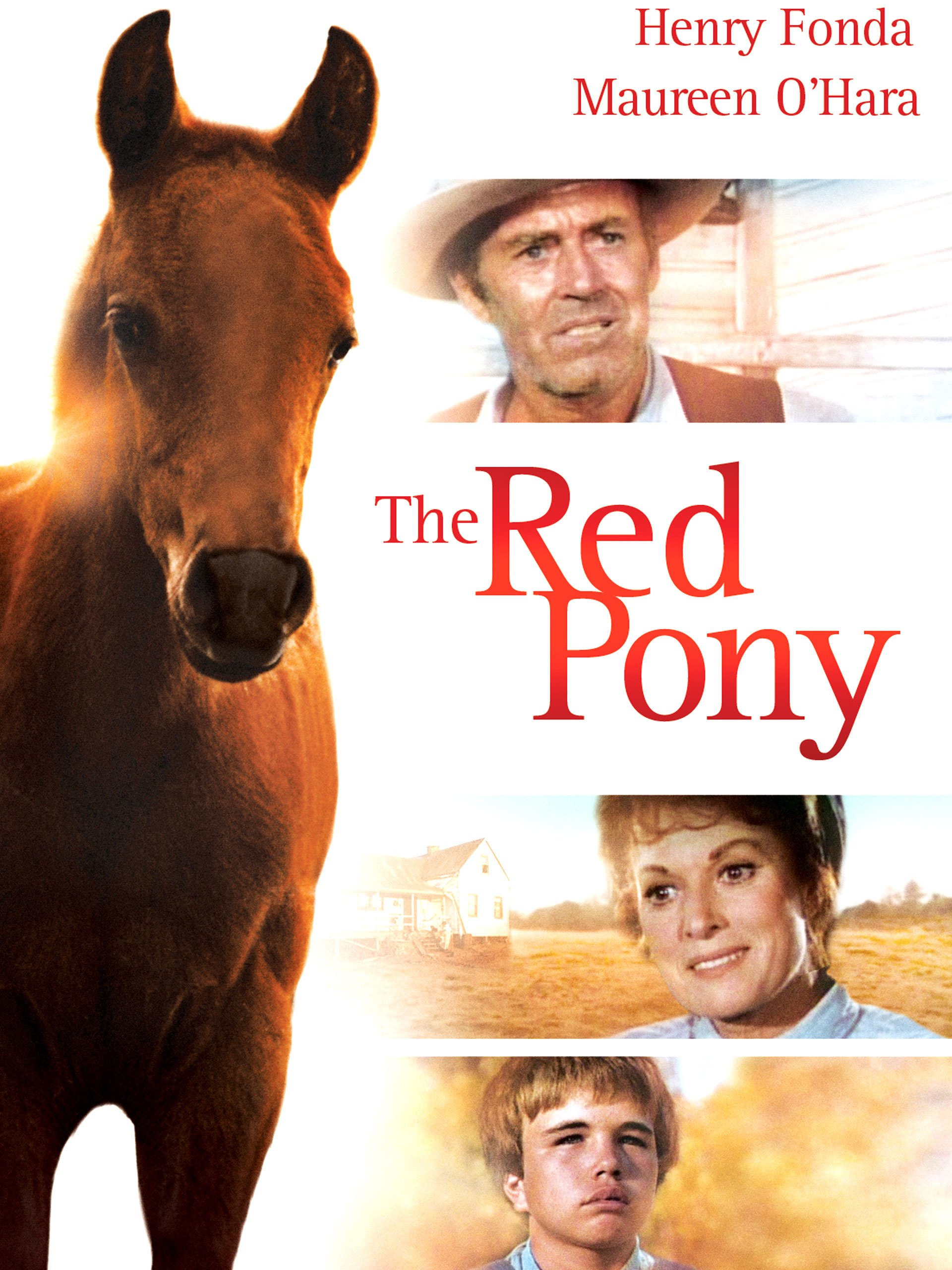 Watch The Red Pony | Prime Video