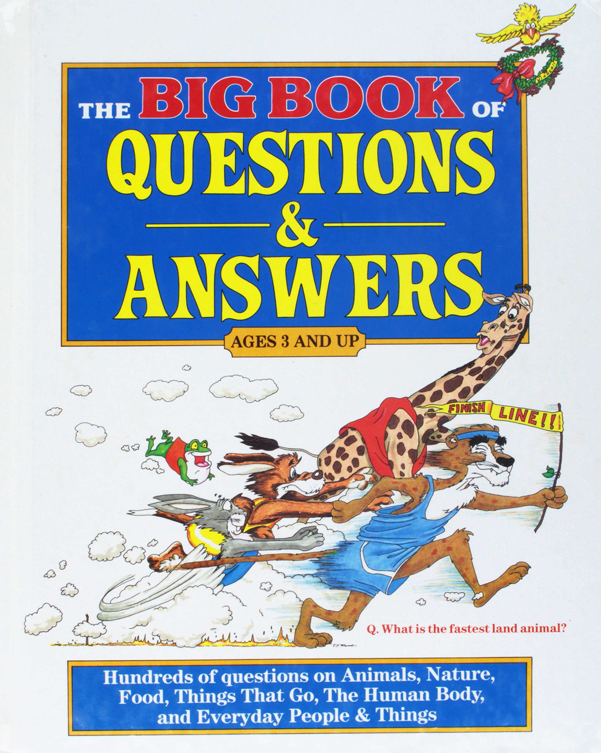 The Big Book of Questions and Answers: unknown: 9781561734115: Amazon ...