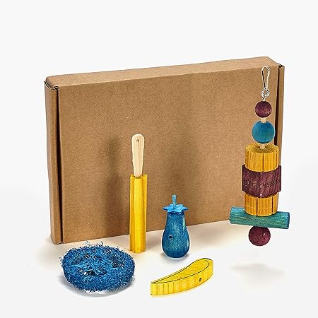 Amazon.com : Kaytee Chew & Treat Toy Box For Pet Rabbits, Guinea Pigs ...