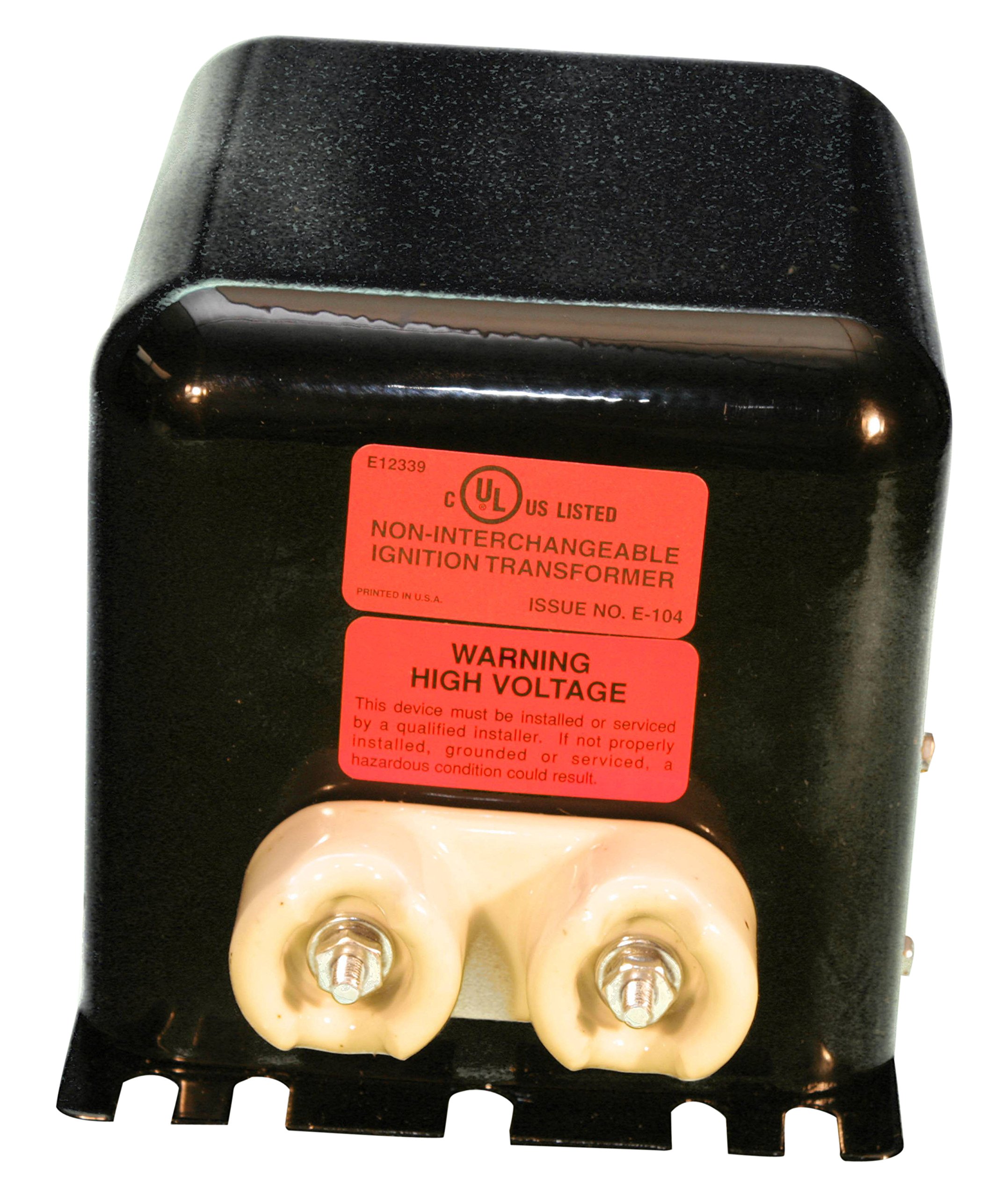 Buy Dongan Transformer A10-LF3 Industrial Ignition Transformer, 250 VA ...