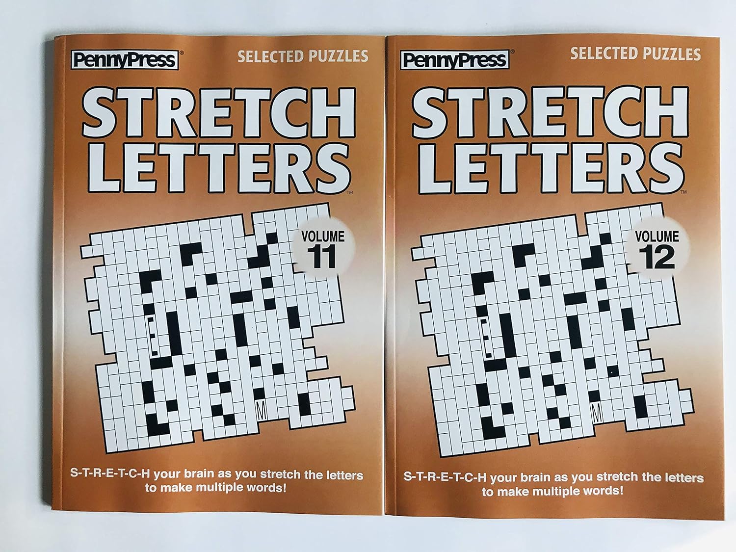 Amazon.com: Volumes 11 and 12 of the STRETCH LETTERS Fill In Ins ...