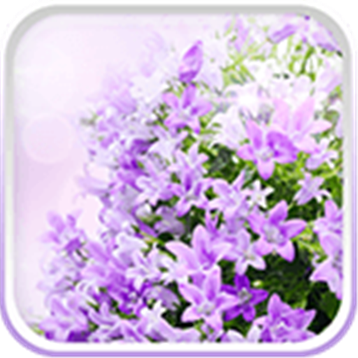 Lilac Flowers Live Wallpaper Purple Flower 3D Embossed Aesthetic