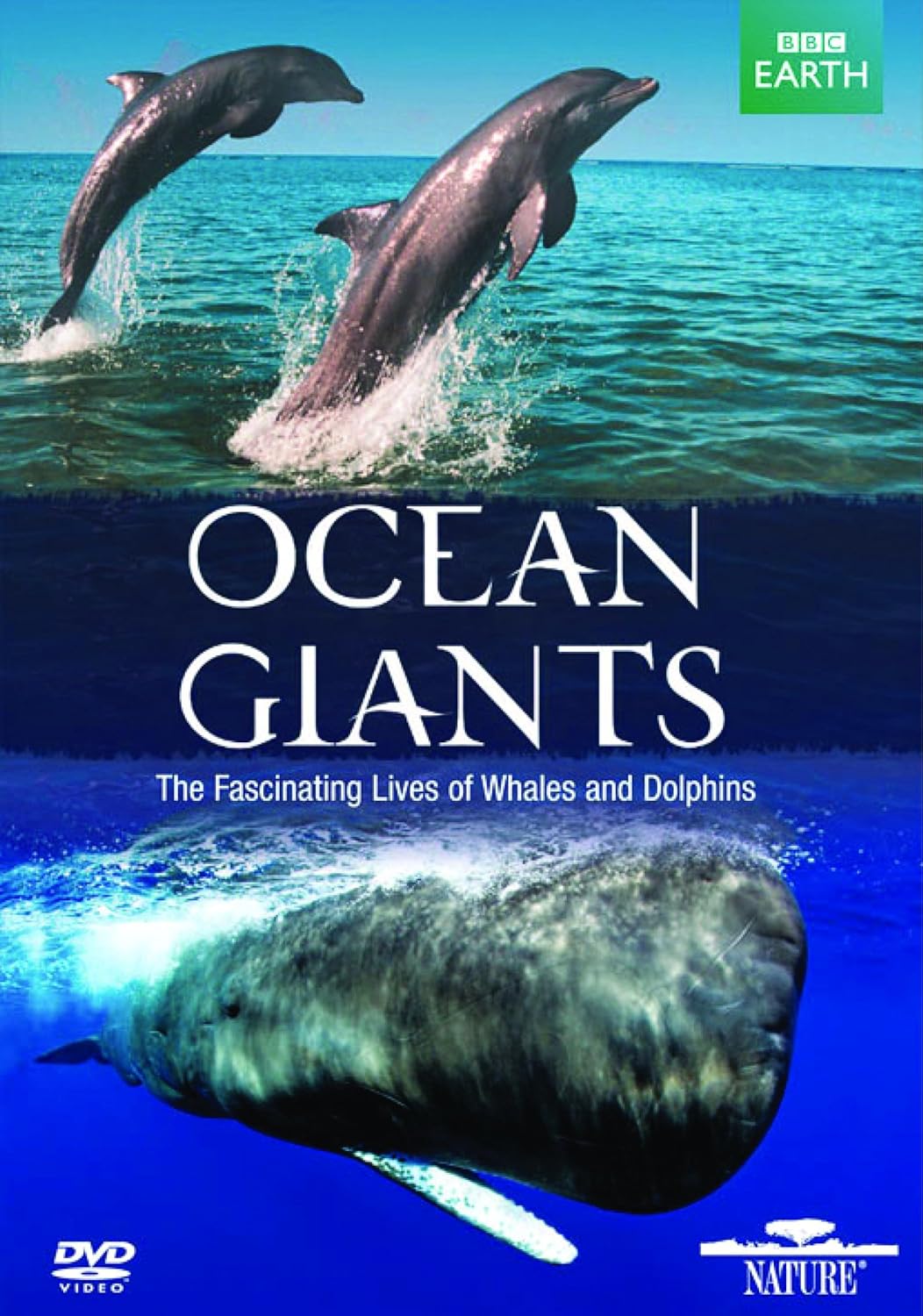 Amazon.com: Ocean Giants : Various, Various: Movies & TV