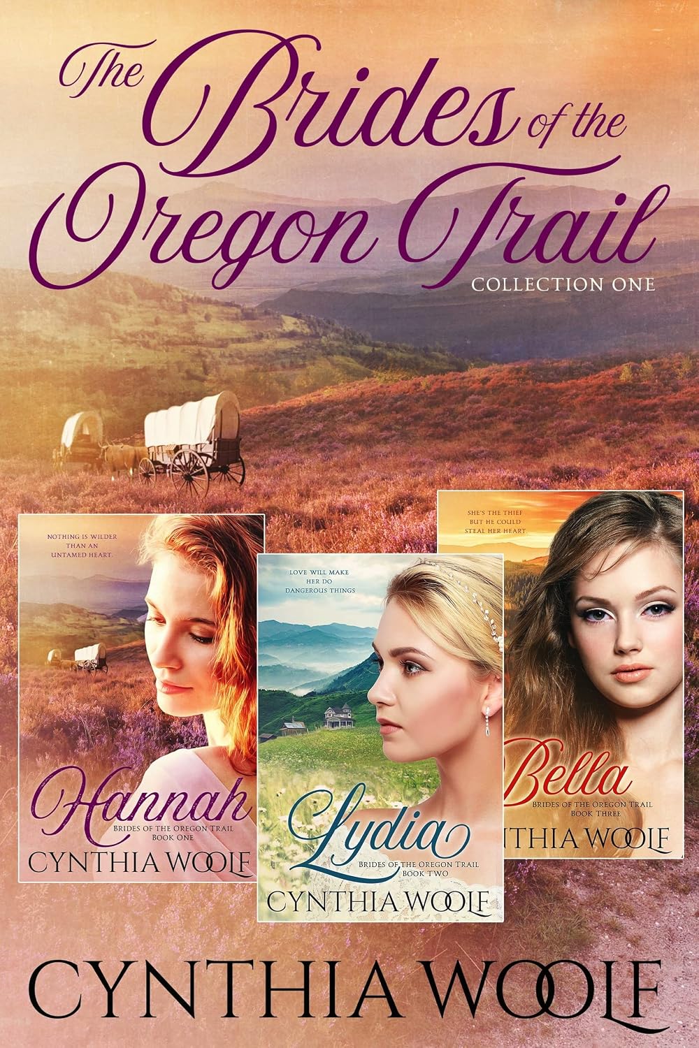 Amazon.com: The Brides of the Oregon Trail, Collection One (The Brides ...
