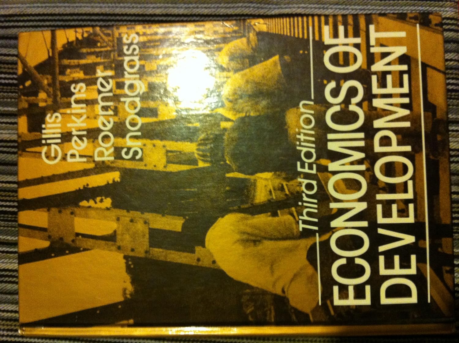 Economics of Development: 9780393961560: Business Development Books ...