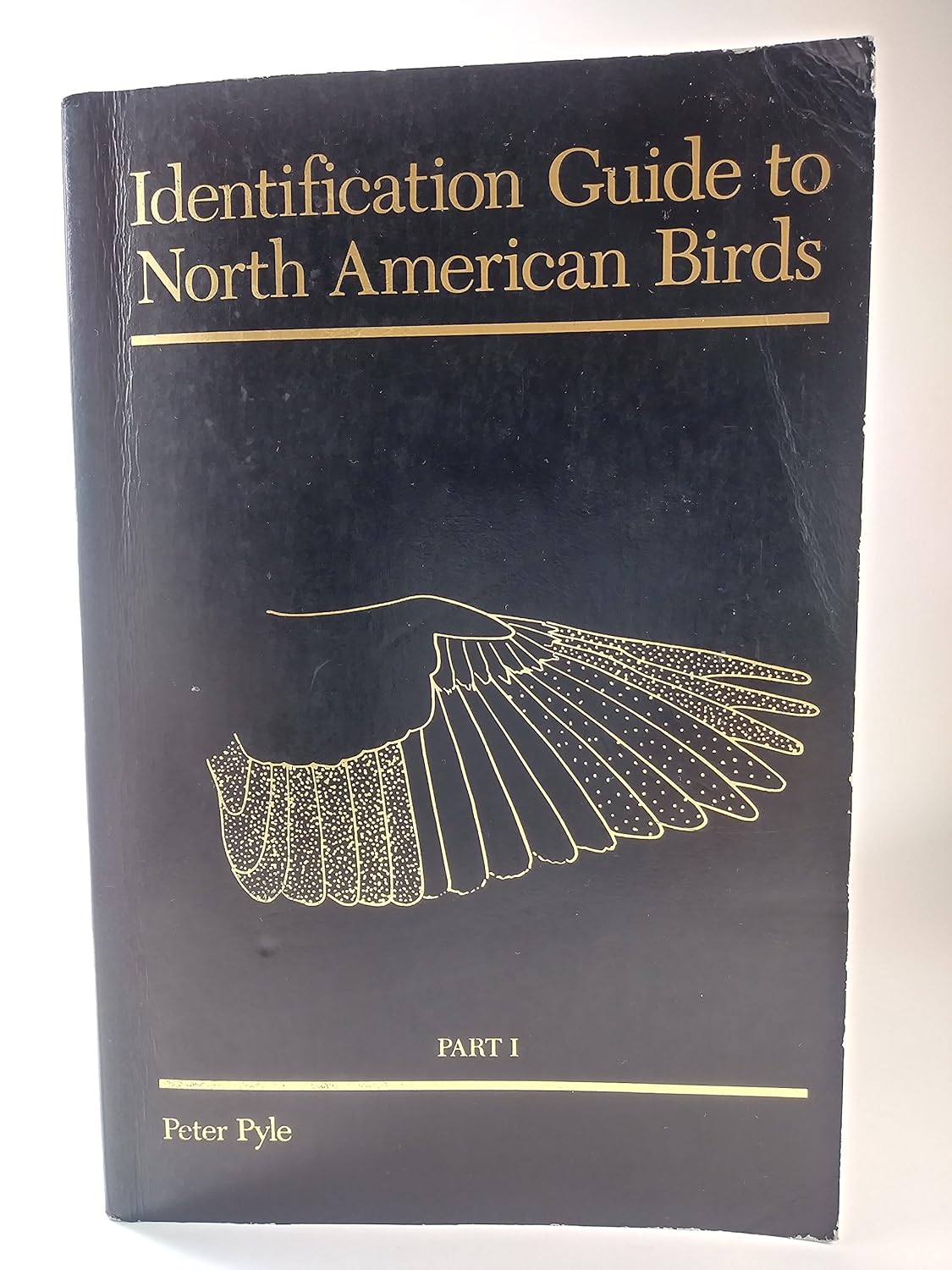 Identification Guide to North American Birds, Part I: Columbidae to ...