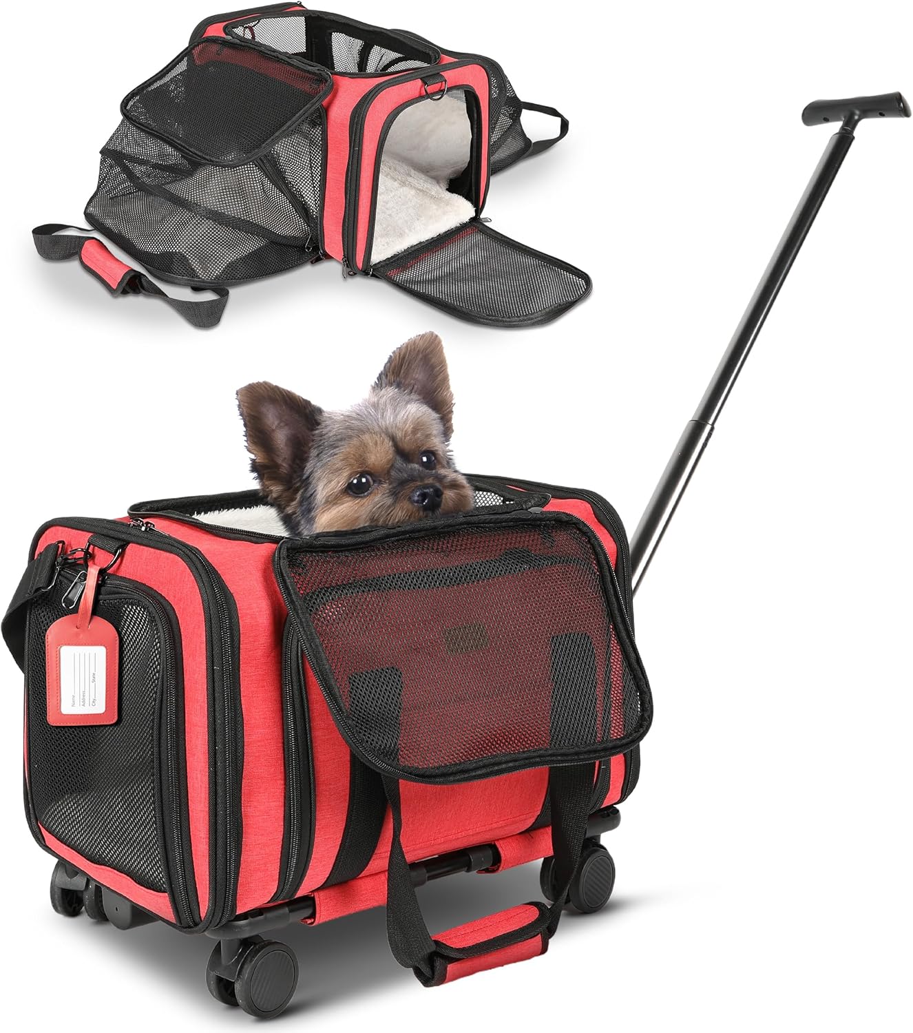 Amazon.com : Pet Carrier with Wheels - Airline Approved - Dogs/Cats ...