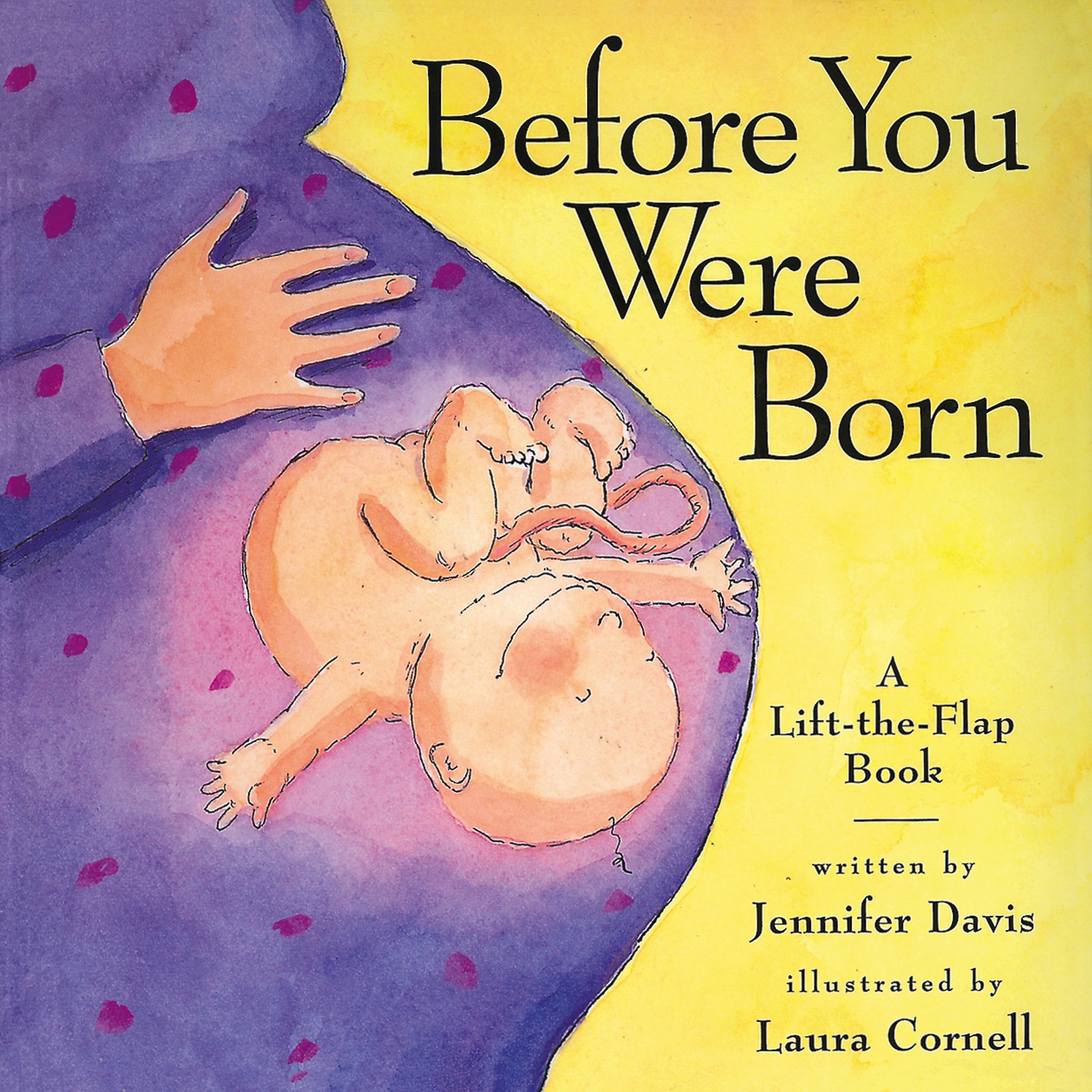 Before You Were Born: A Lift-The-Flap Book : Davis, Jennifer, Cornell ...