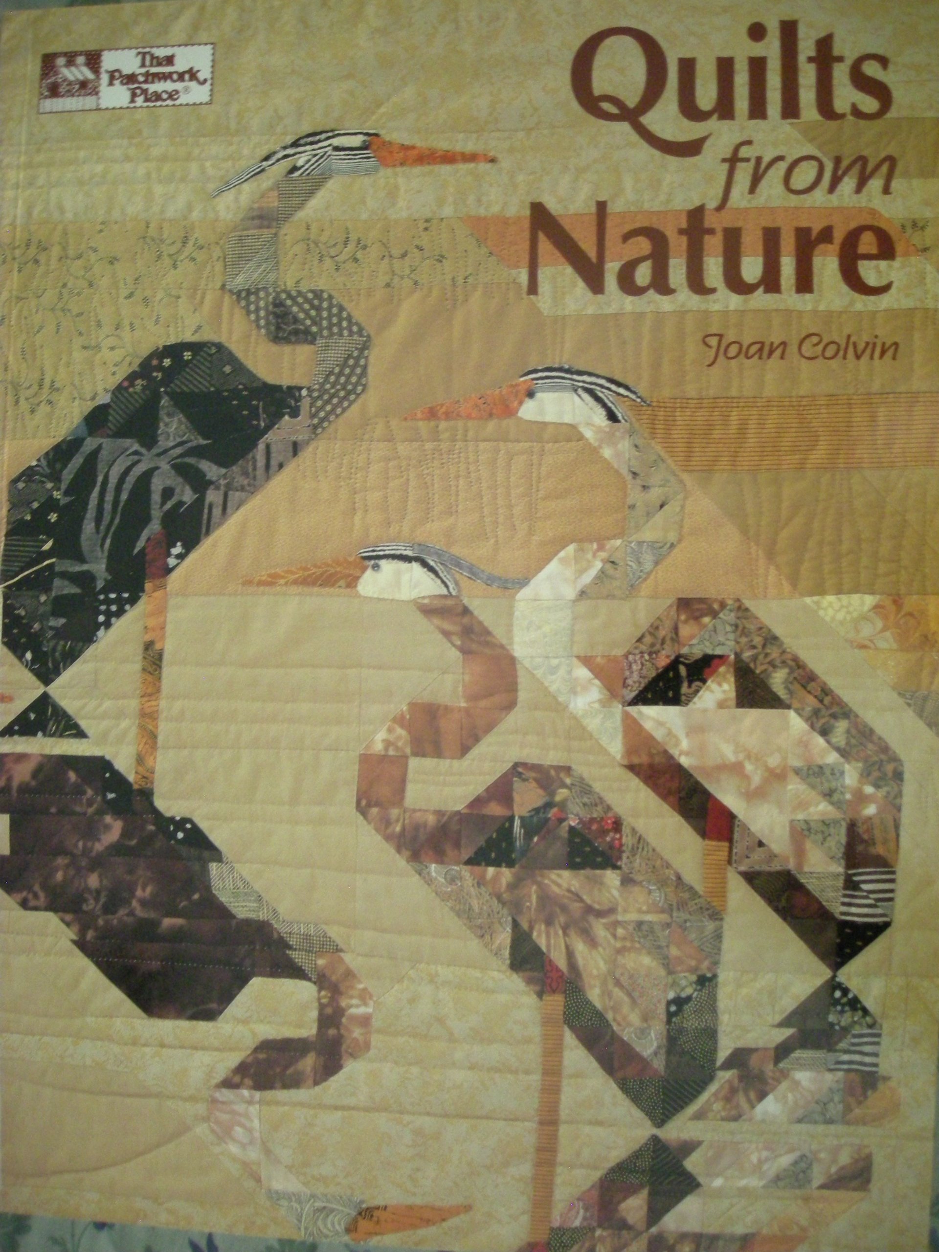 Quilts from Nature: Colvin, Joan: 9781564770264: Amazon.com: Books
