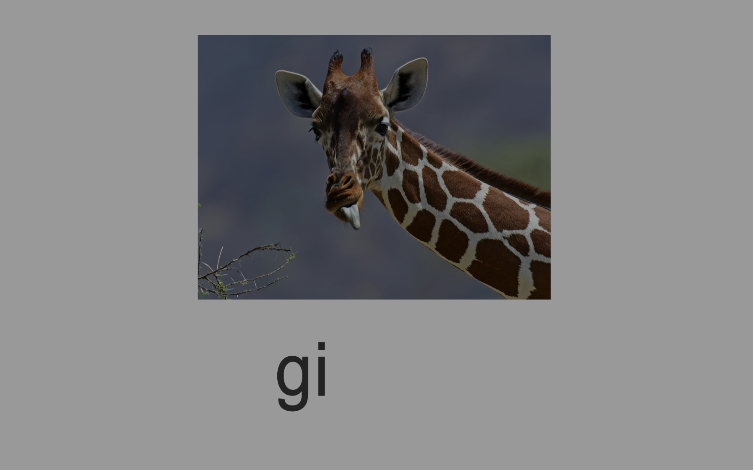 Vocabulary Builder™ 4 Video Flashcard Player - App on the Amazon Appstore