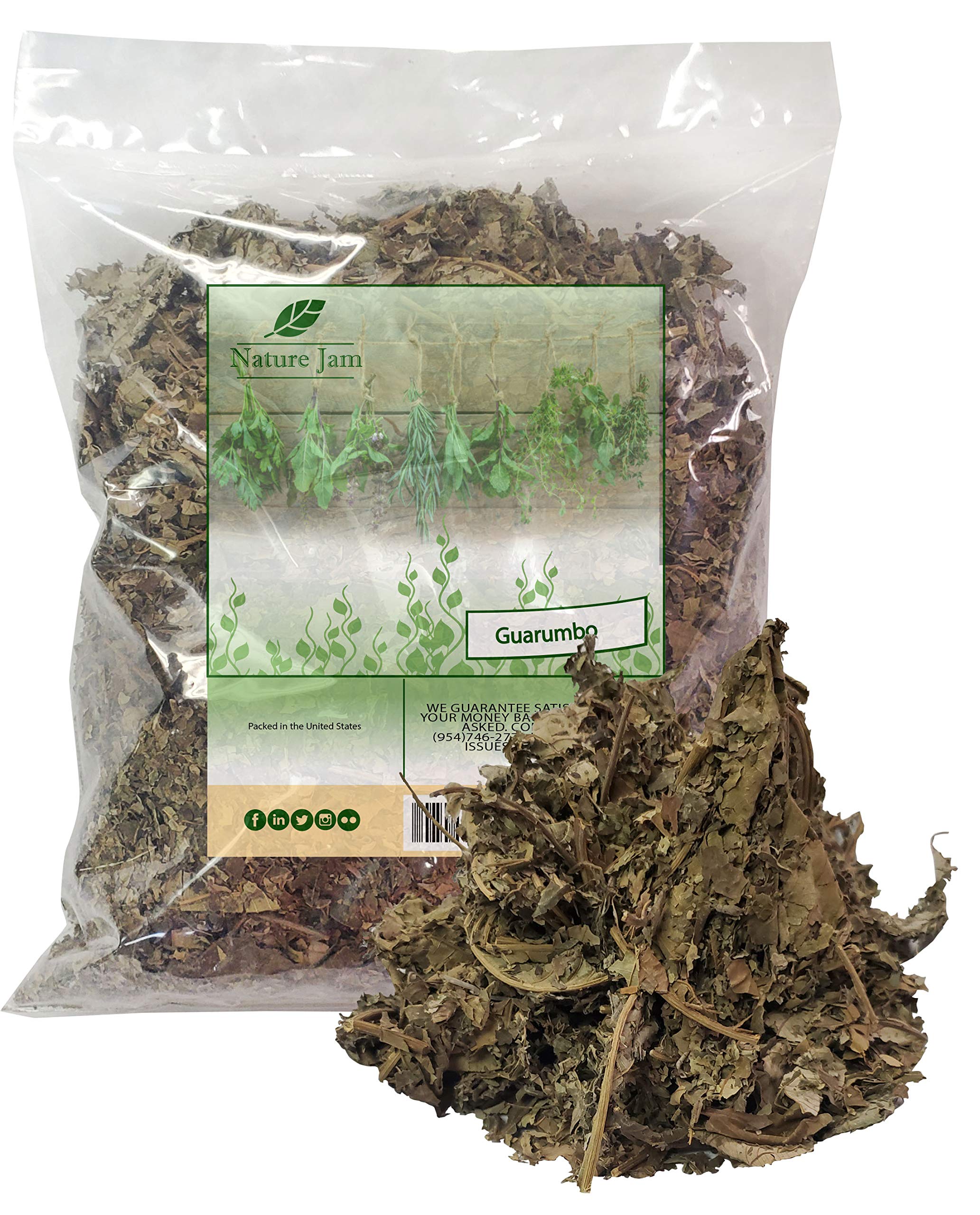 Buy Guarumbo-Trumpet Tree Leaves/Cecropia obtusifolia 1/2 Pound aka ...