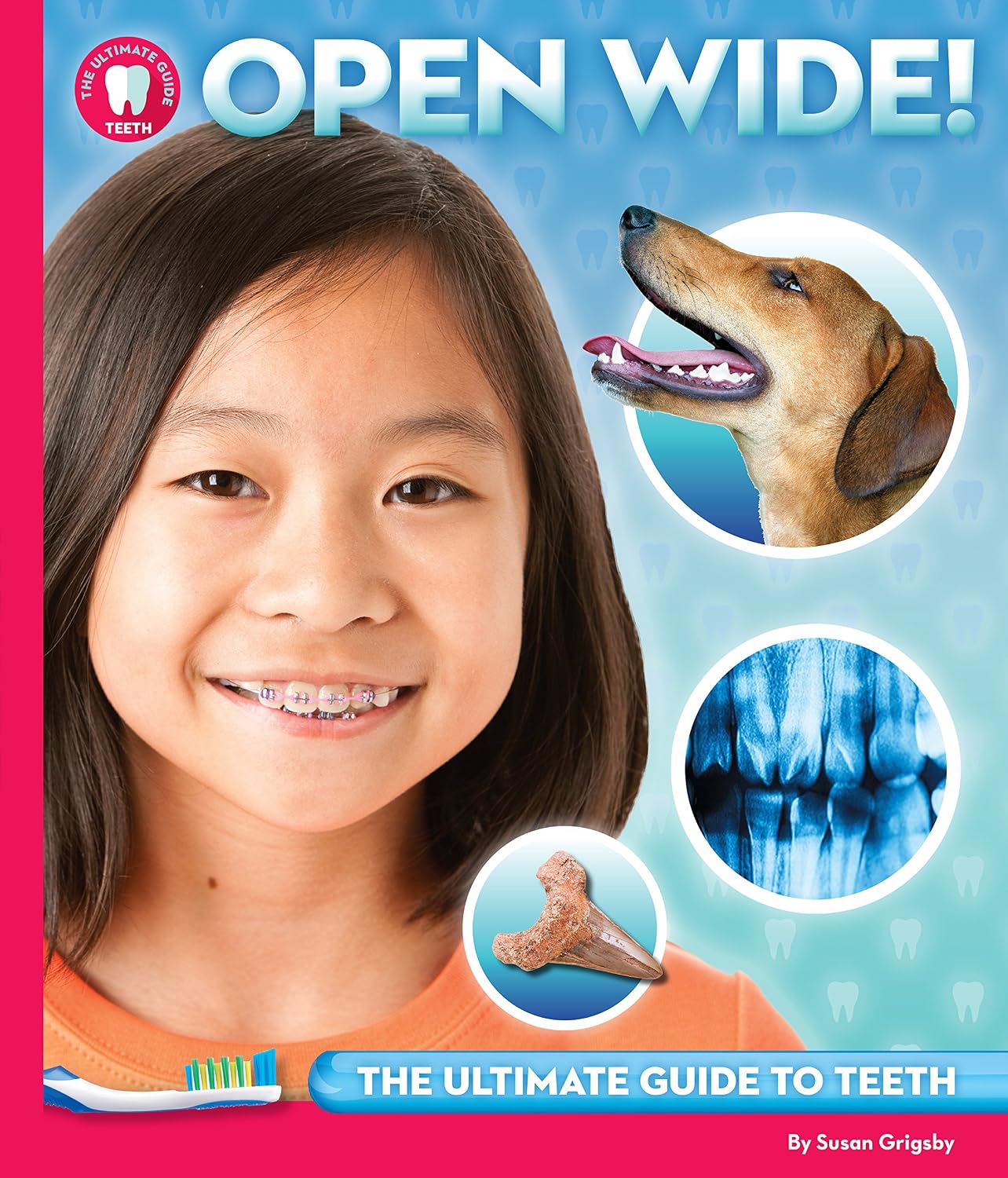 Open Wide: The Ultimate Guide to Teeth: Grigsby, Susan: 9781633221239 ...
