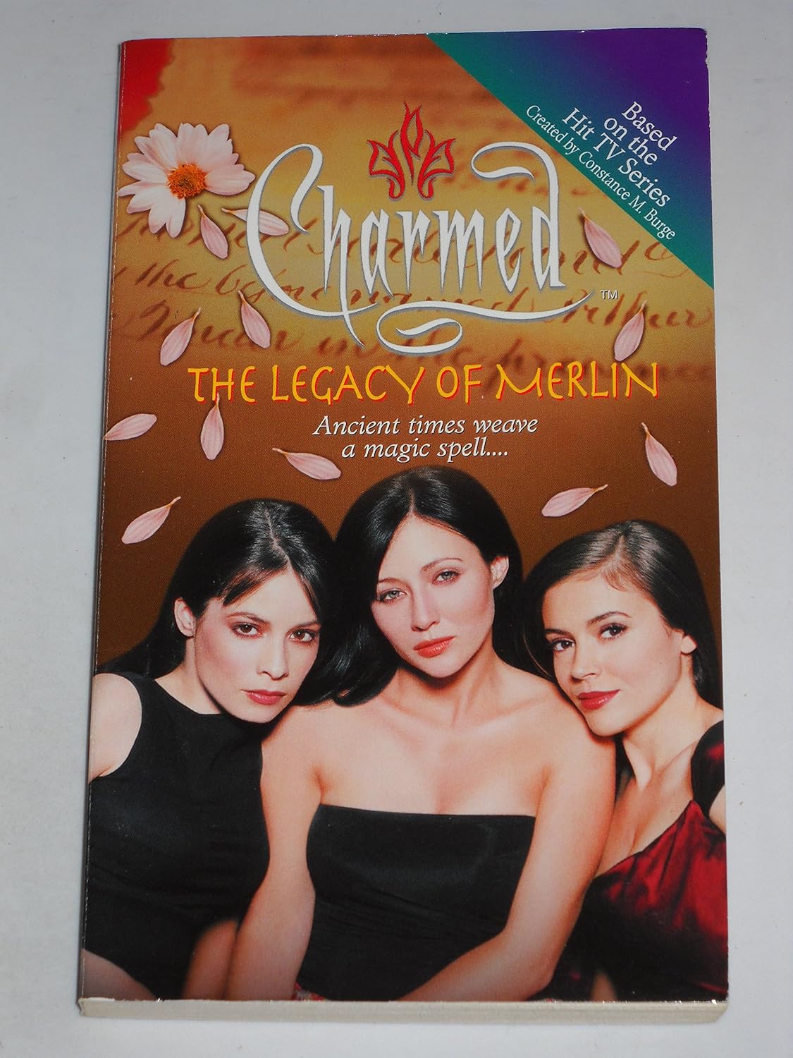 Amazon.com: Legacy of Merlin (Charmed): 9780743412360: Flood, E. L ...