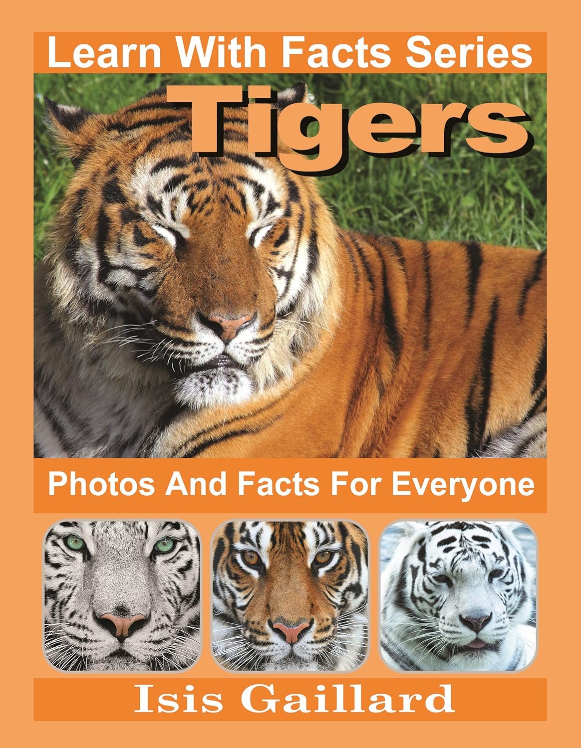 Tigers: Photos and Facts for Everyone (Learn With Facts Series Book 33 ...