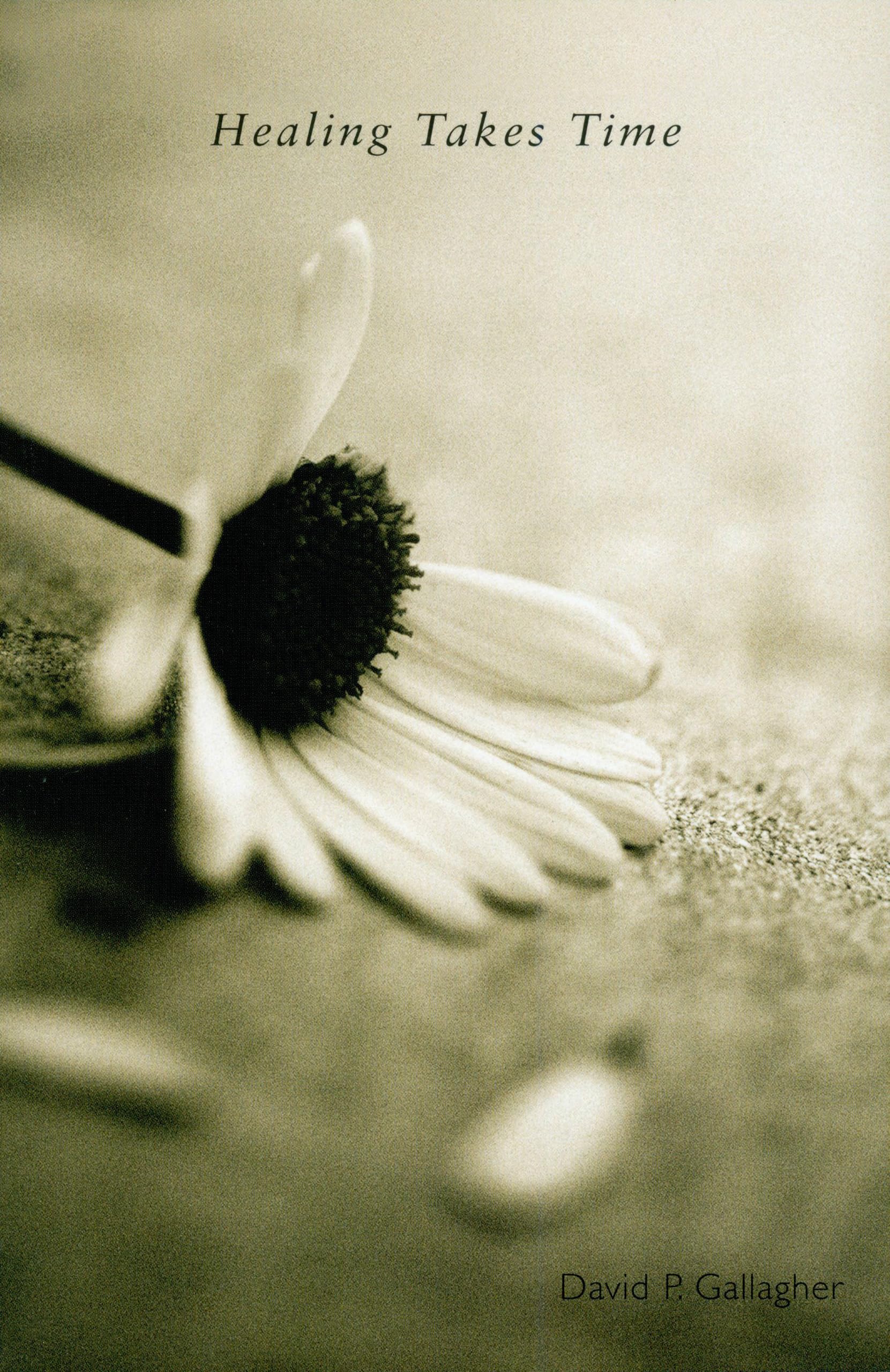 Healing Takes Time: Gallagher, David P.: 9780814615232: Amazon.com: Books