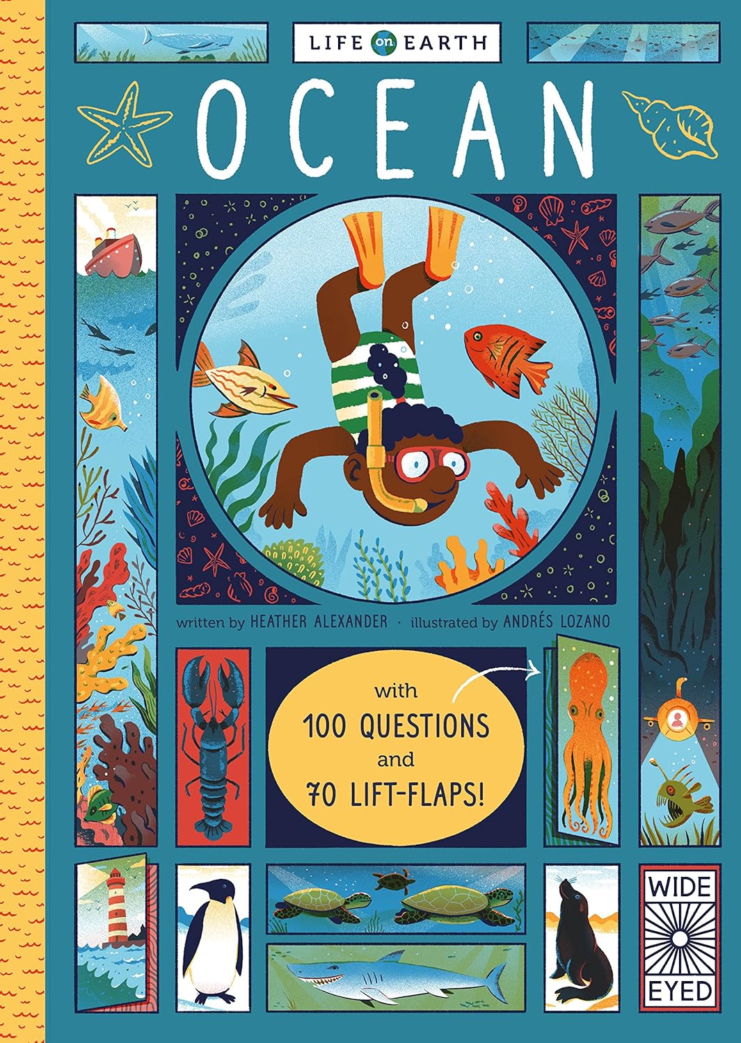 Life on Earth: Ocean: With 100 Questions and 70 Lift-flaps!: Amazon.co ...
