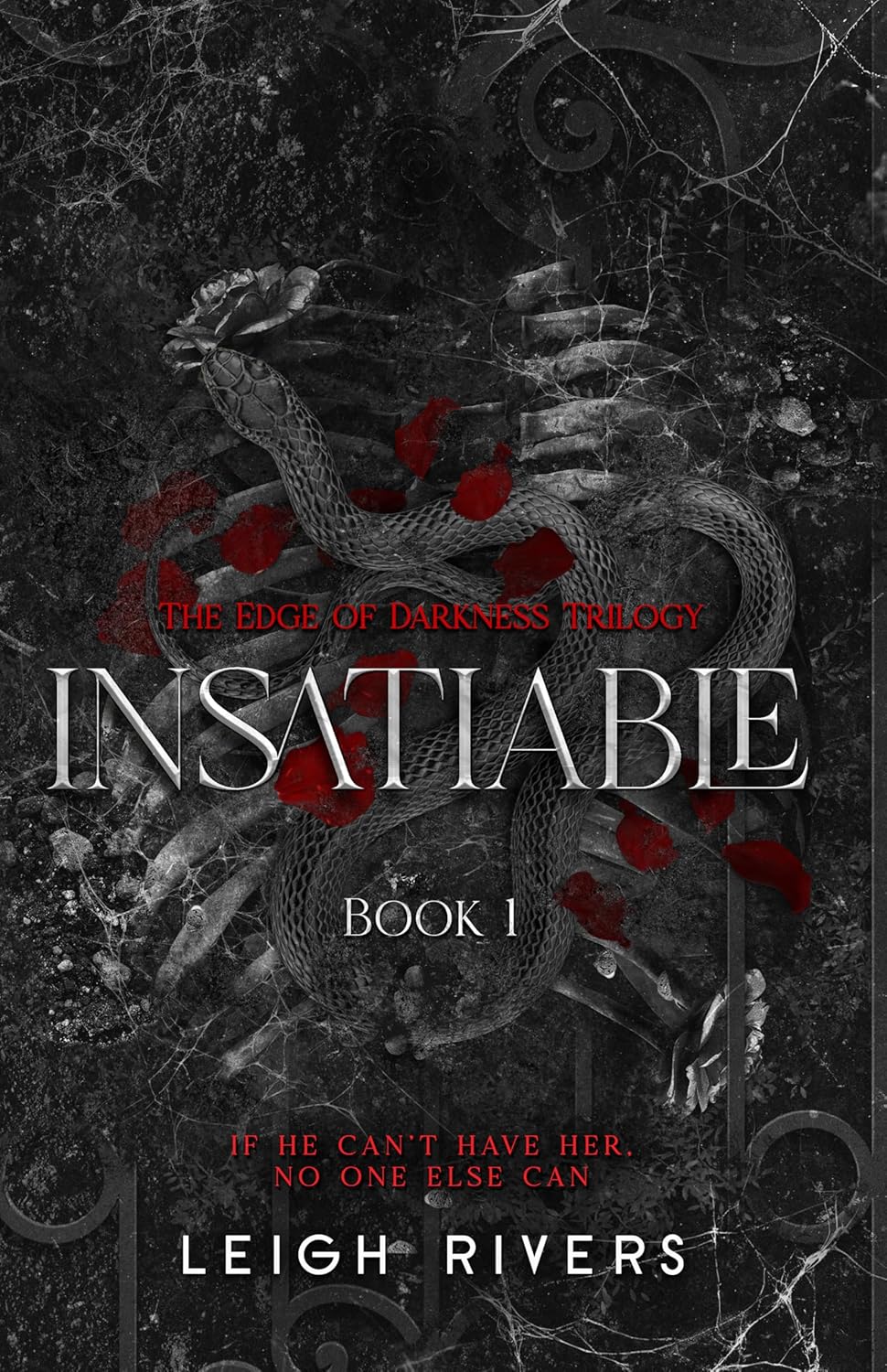 Amazon.com: Insatiable (The Edge of Darkness: Book 1) (The Edge of ...