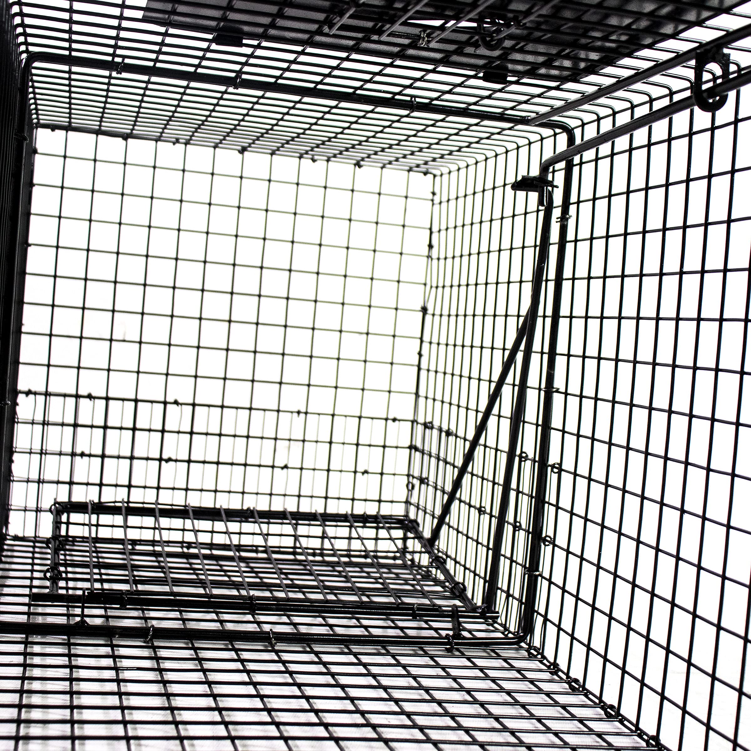 Snapklik.com : Humane Way 38 Inch Live Humane Animal Trap - Safe Traps ...