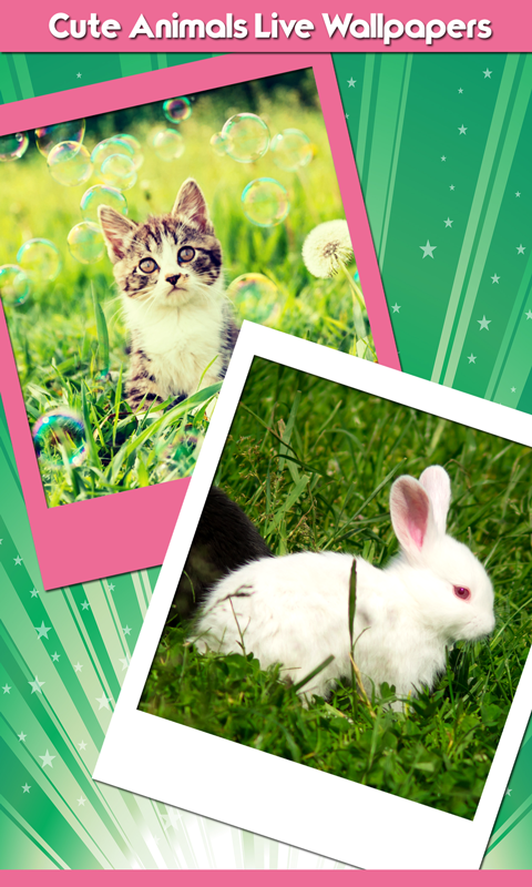 Cute Animals Live Wallpapers - App on Amazon Appstore