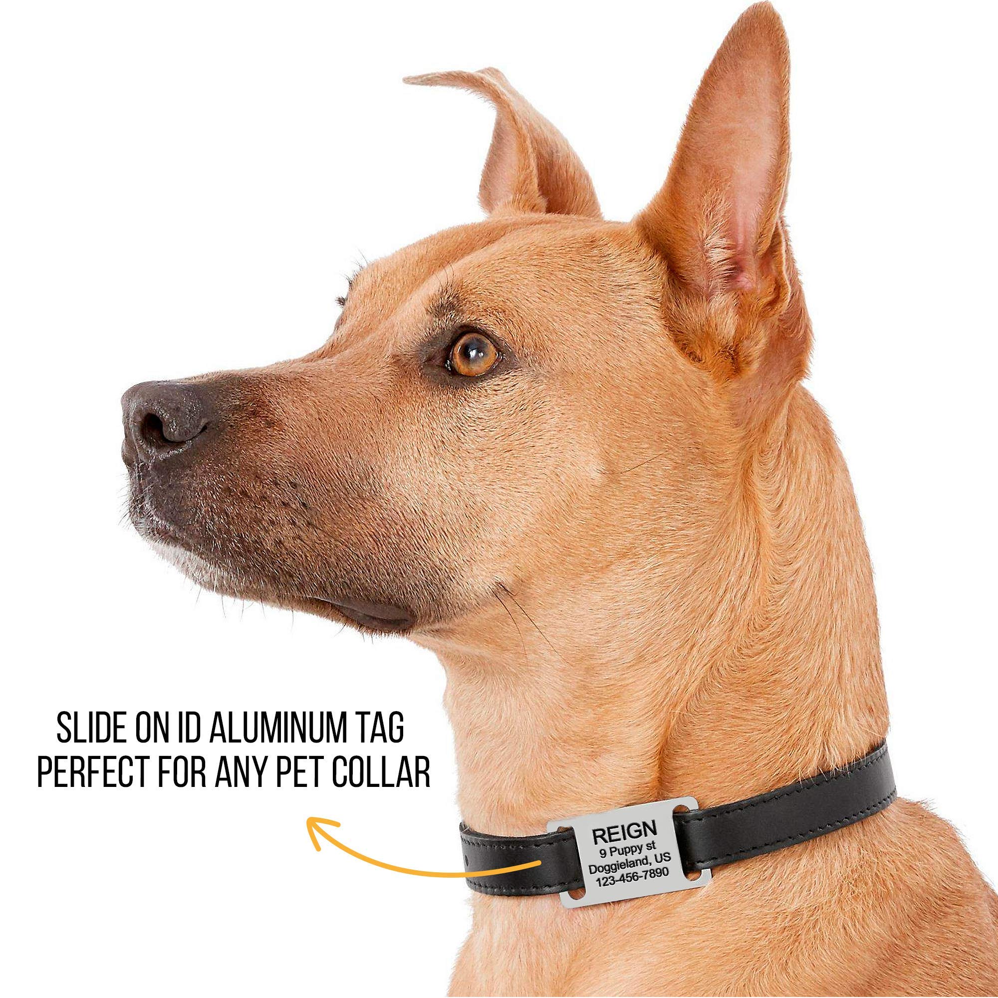 Slide on Dog Tags No Jingle Aluminum Name Tags Personalized Custom slide-on-dog-tags-no-jingle-aluminum-name-tags-personalized-custom