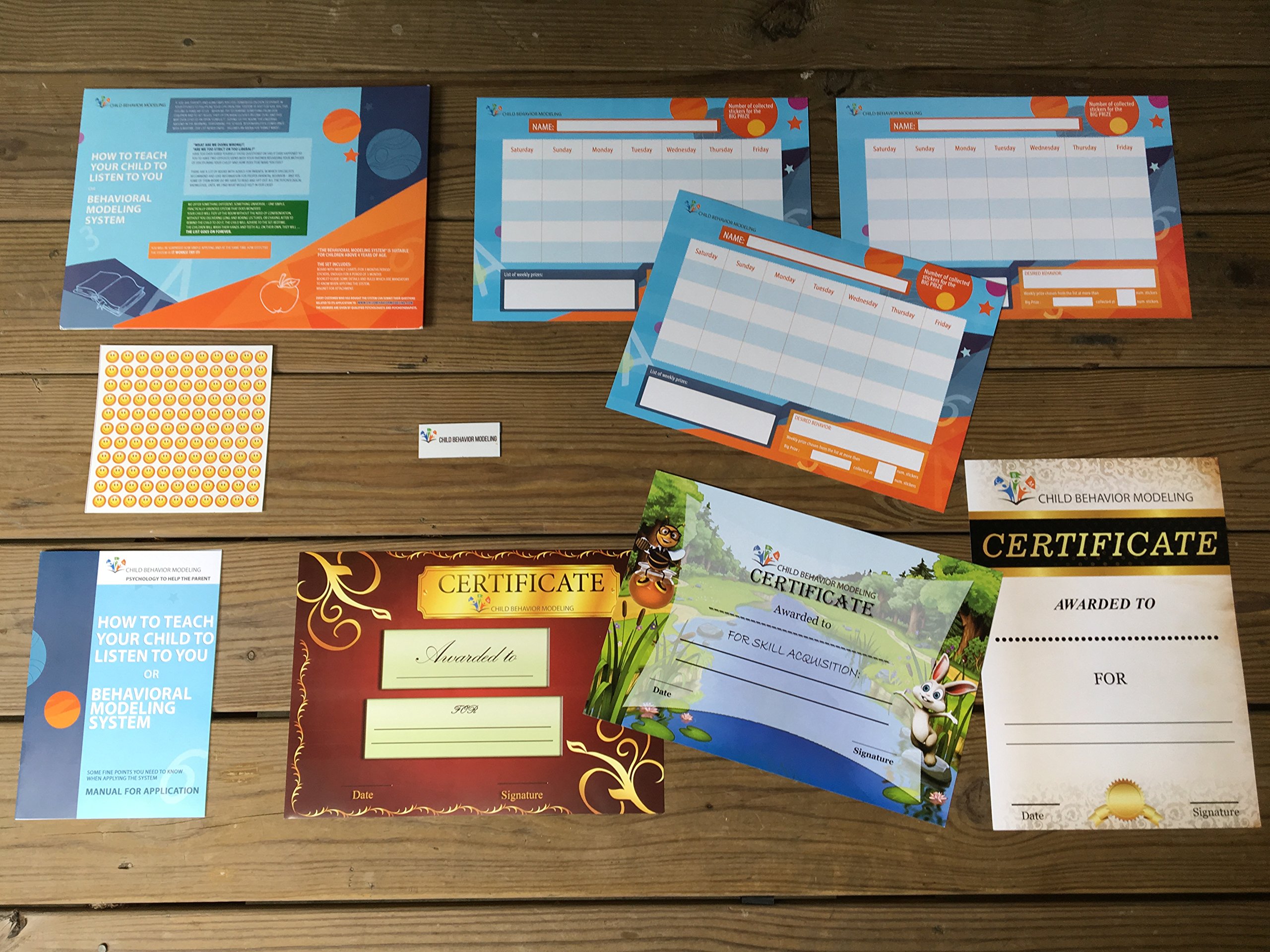 Buy NEW REWARD CHART SET: Reward / Responsibility / Behavior / Chore ...