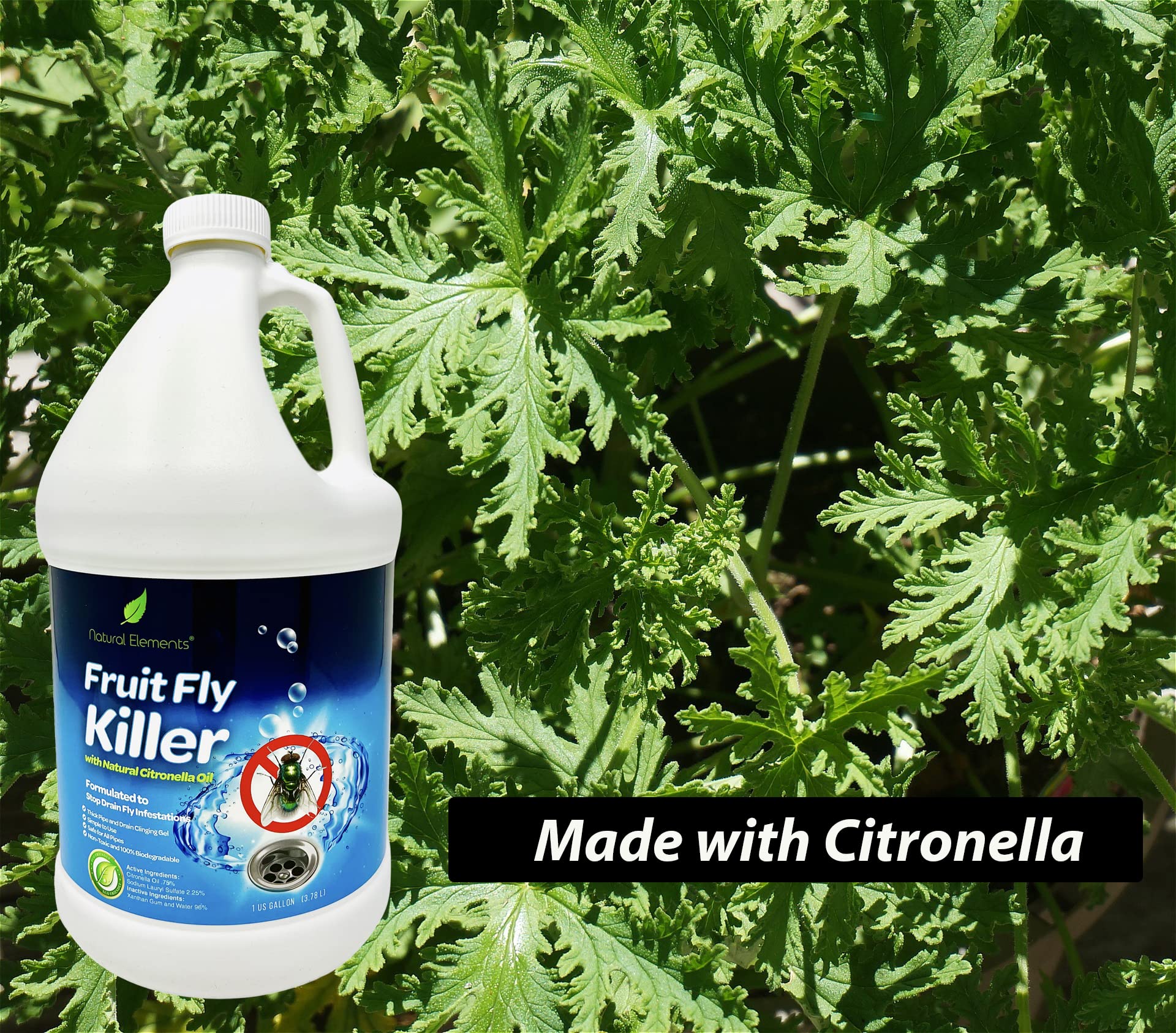 Drain Fly Insecticide