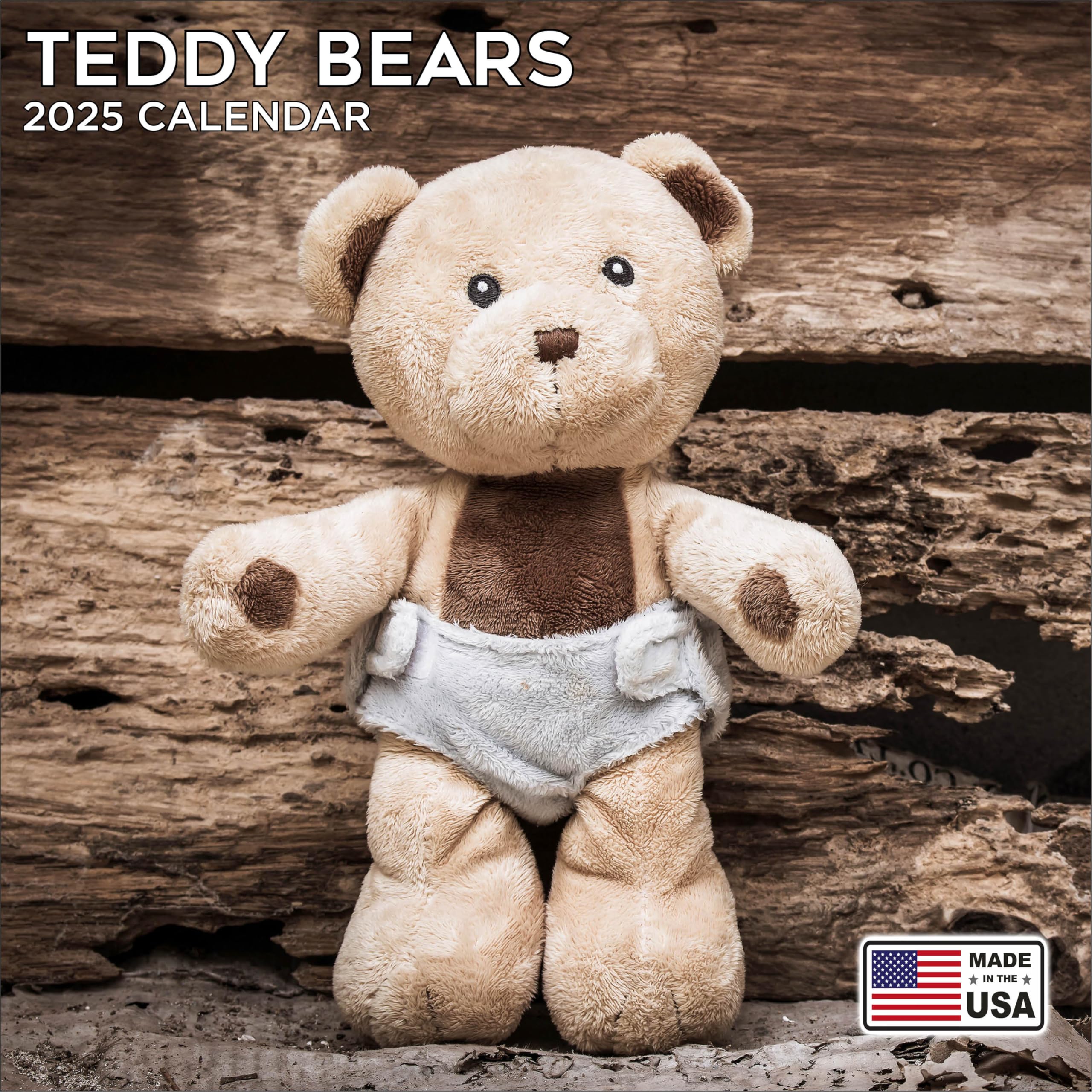 MegaCalendars - Teddy Bears Calendar 2025: MegaCalendars: 0655255459921 ...