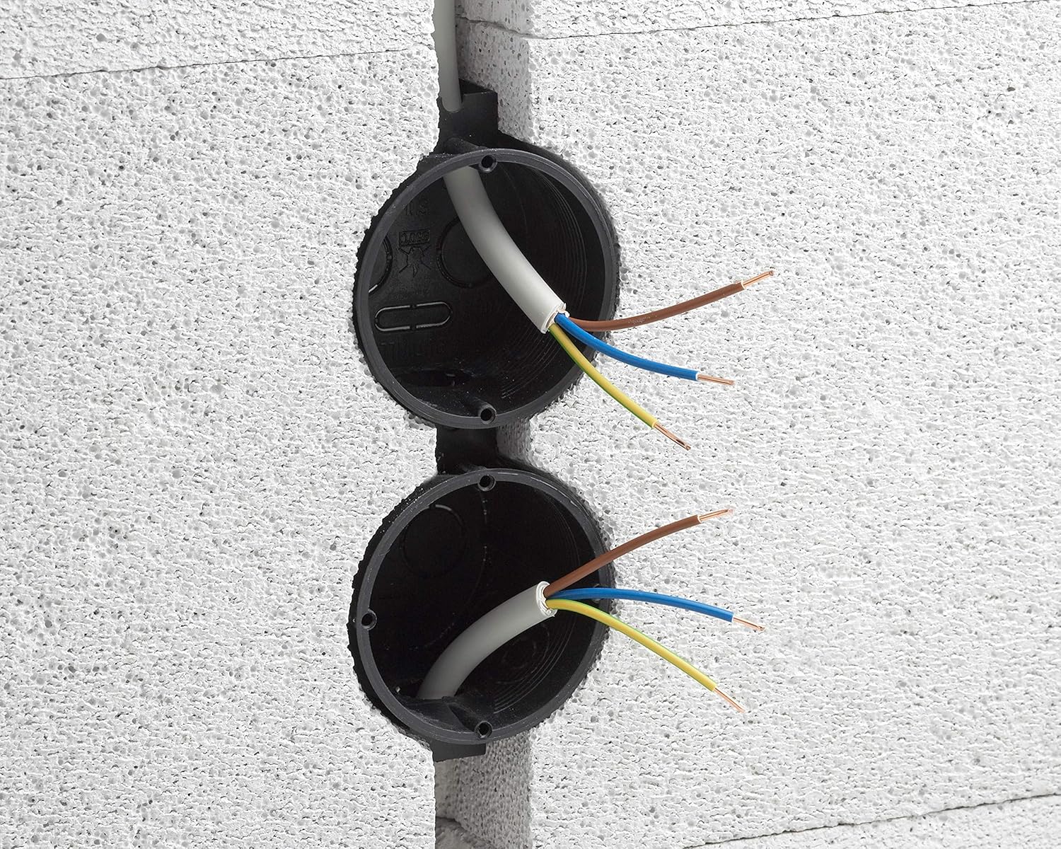 Meister Flush-Mounted Switch Box – Black – Pack of 25 – for ...