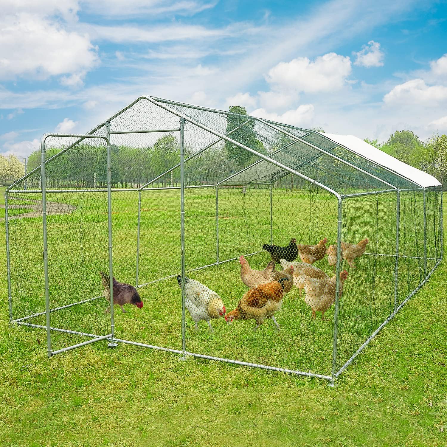 Amazon.com: Large Metal Chicken Coop Walk-in Poultry Cage Heavy Duty ...