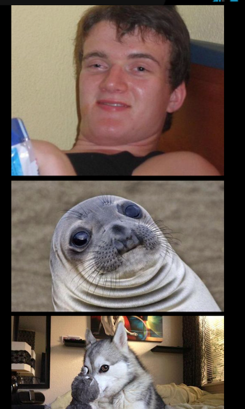 Awkward Seal Meme
