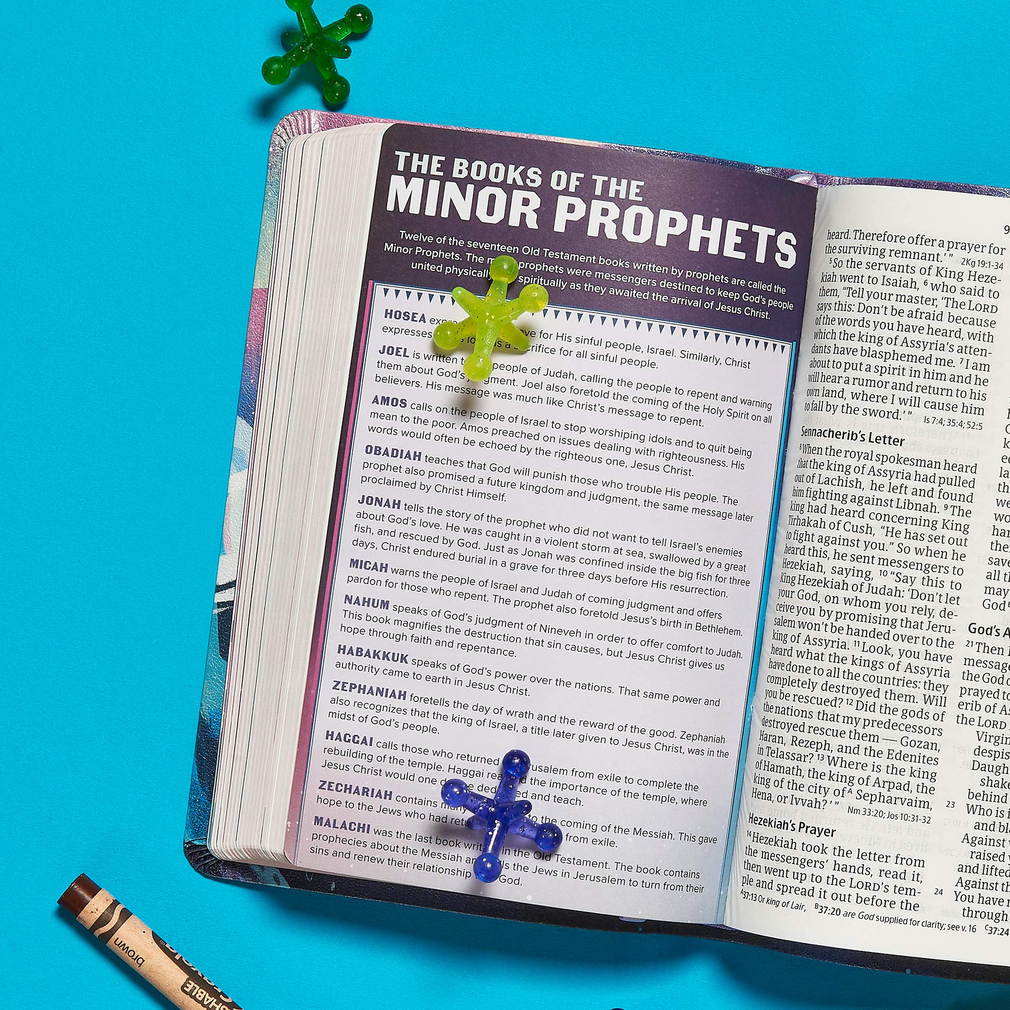 Snapklik.com : CSB Kids Bible, Narwhal LeatherTouch, Red Letter ...