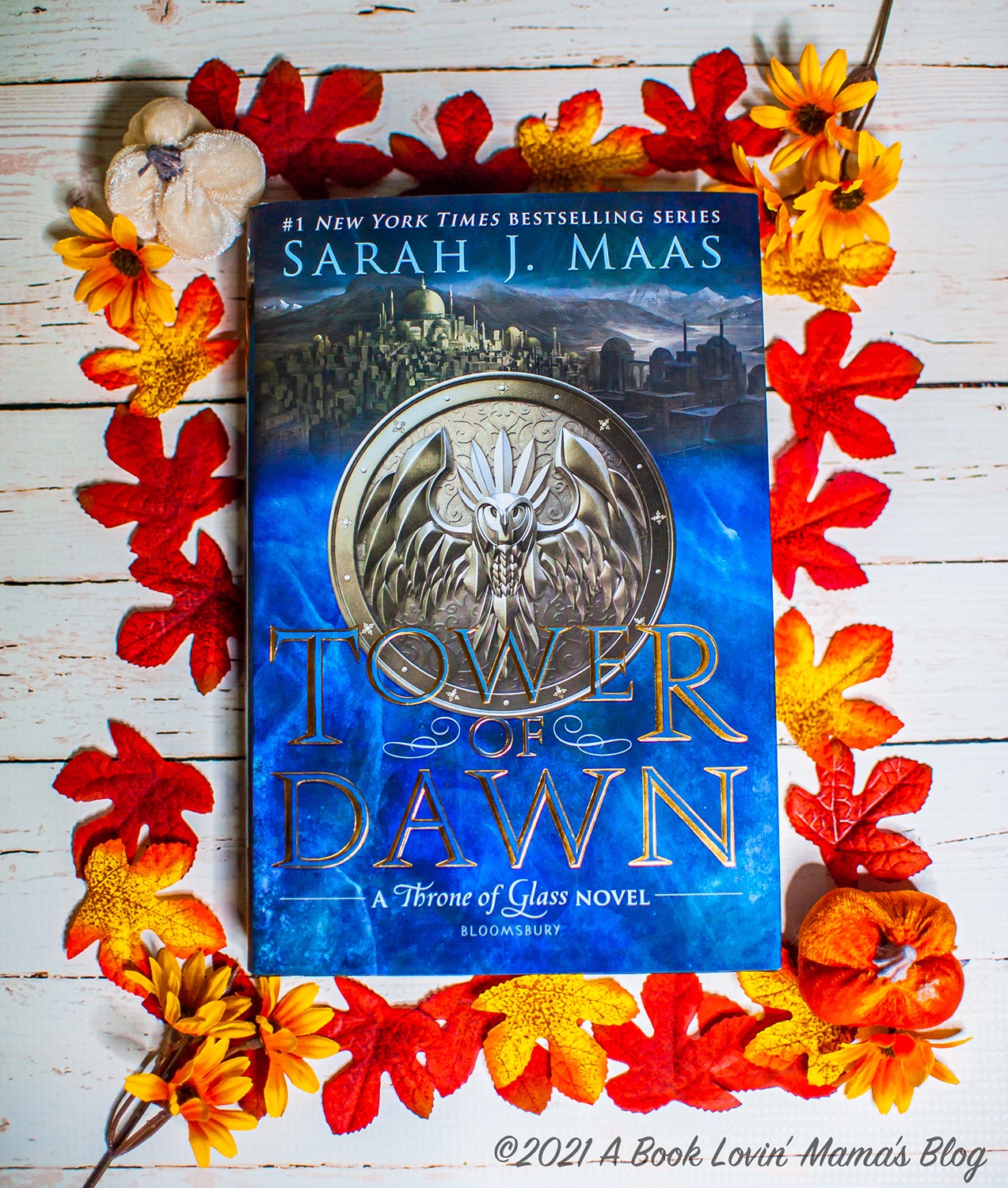 Amazon.com: Tower of Dawn: From the # 1 Sunday Times best-selling ...