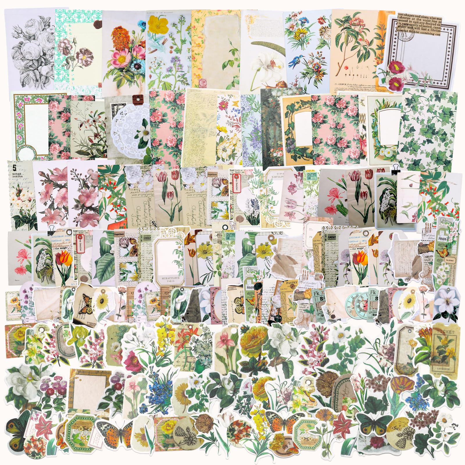 Amazon.com: Elegant Botanical Themed Scrapbook Supplies: 200Pcs Flower ...