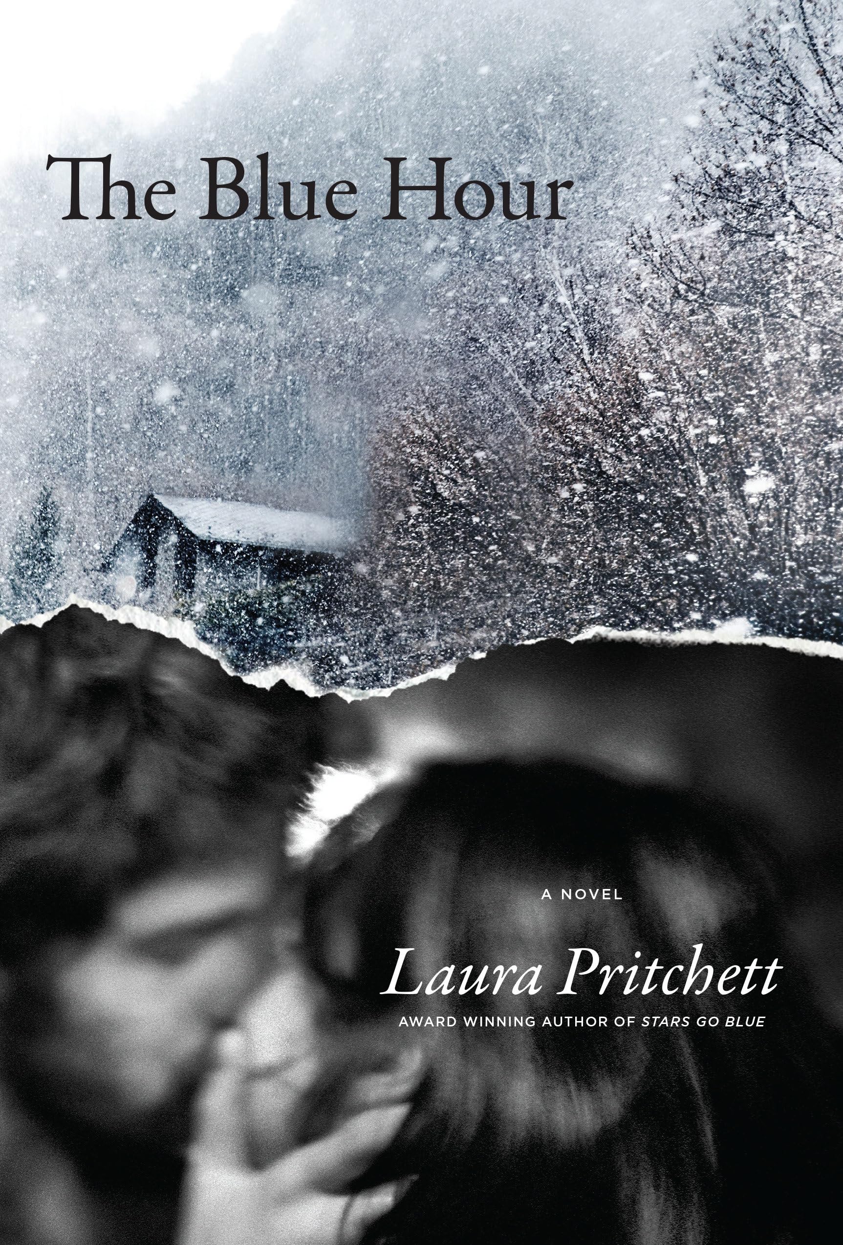 Amazon.com: The Blue Hour: 9781619028487: Pritchett, Laura: Books
