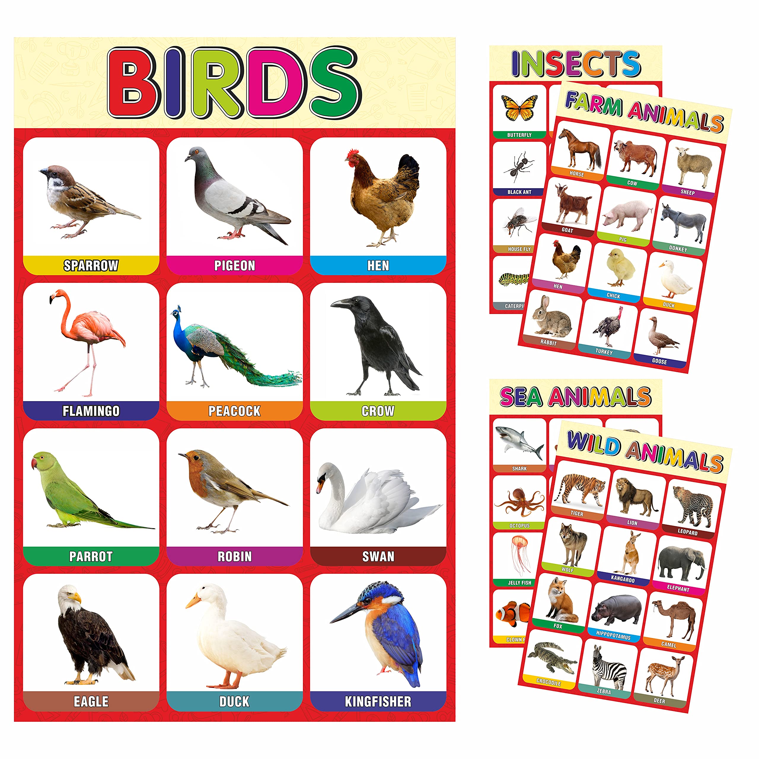 Fonax Early Learning Posters For Kids Preschool Includes Birds Insects ...