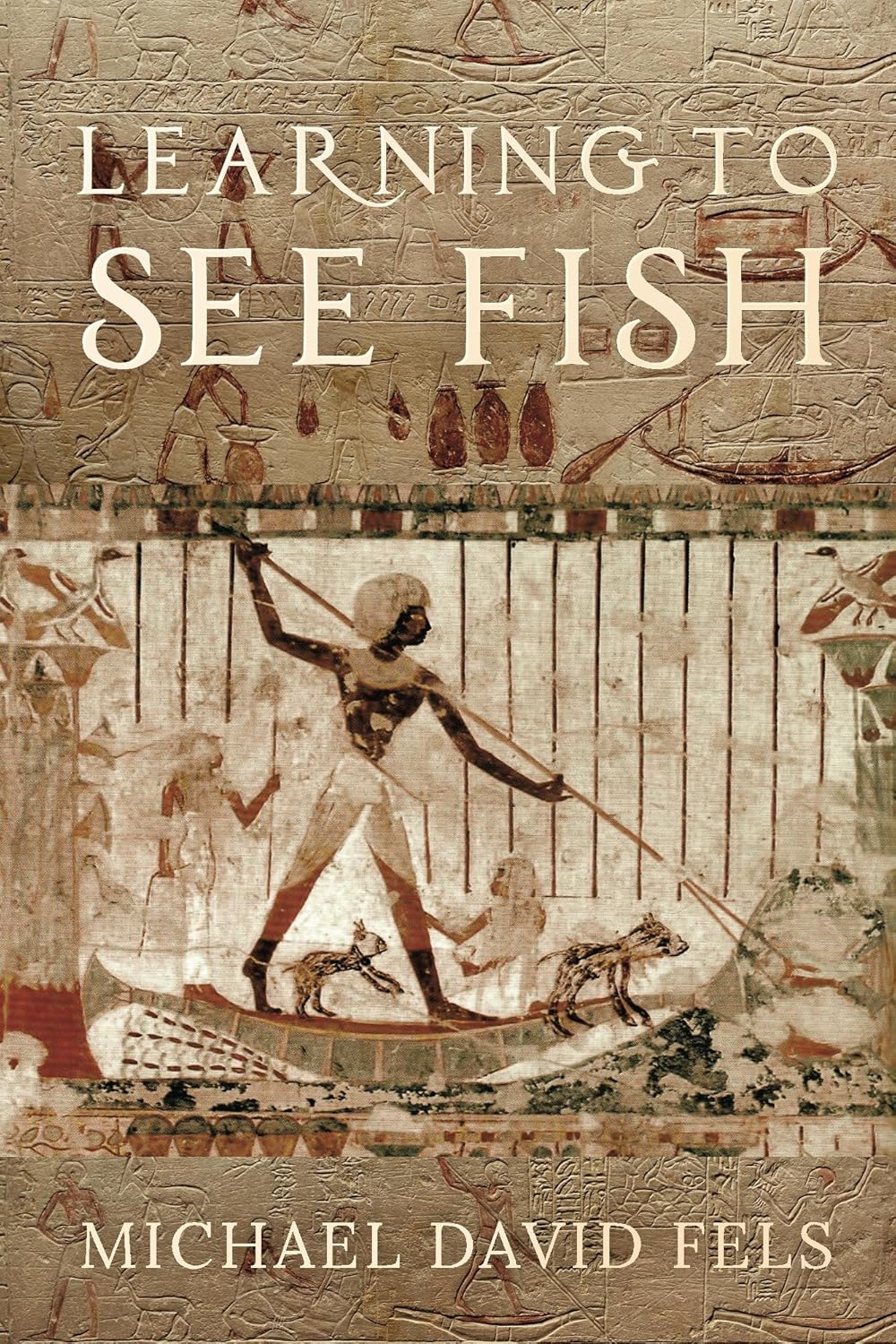 Learning To See Fish (English Edition) eBook : Fels, Michael: Amazon.it ...