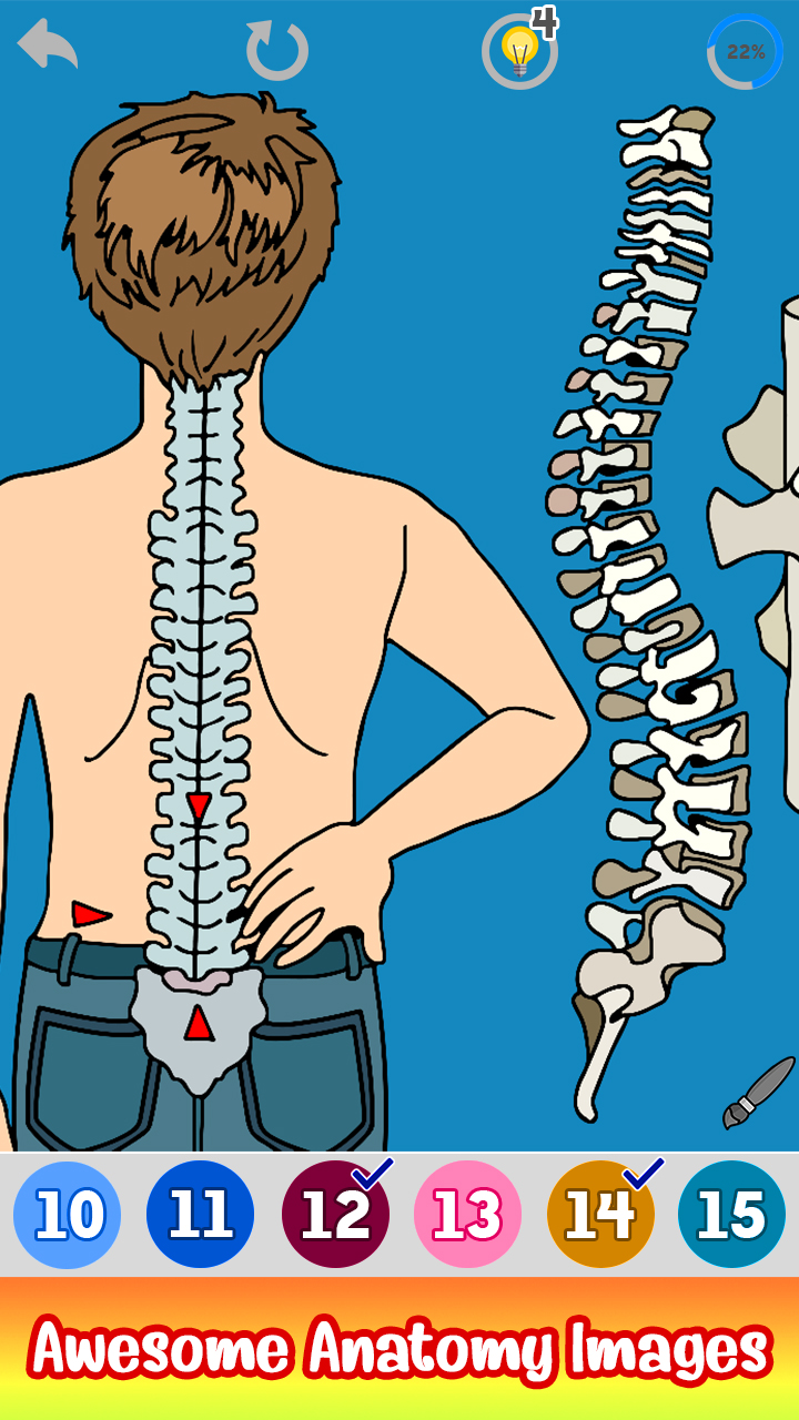 Human Body Color By Number Art - Anatomy Coloring Book:Amazon.com ...