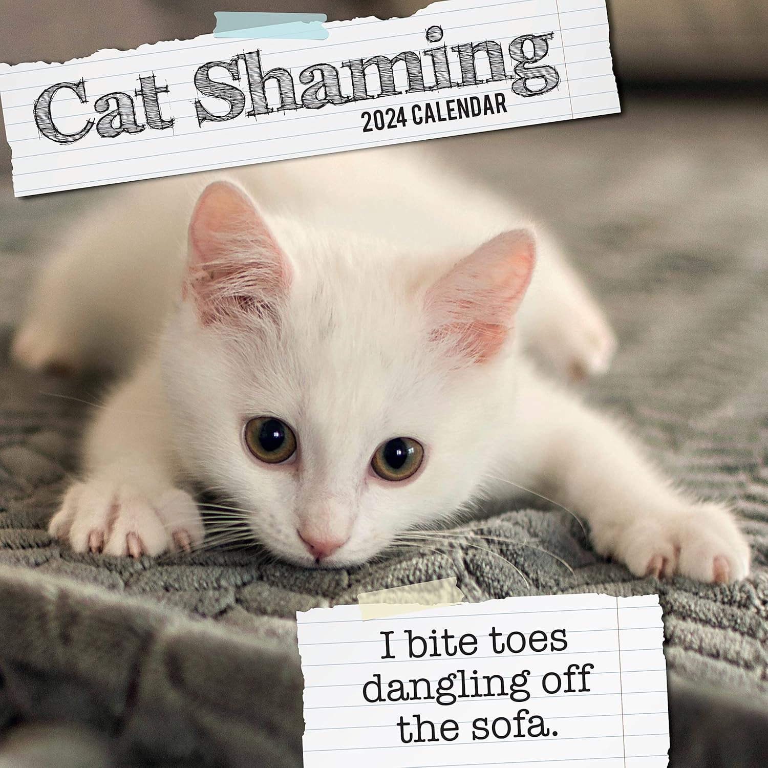 Amazon.com: 2024 Square Wall Calendar, Cat Shaming, 16-Month Humor ...