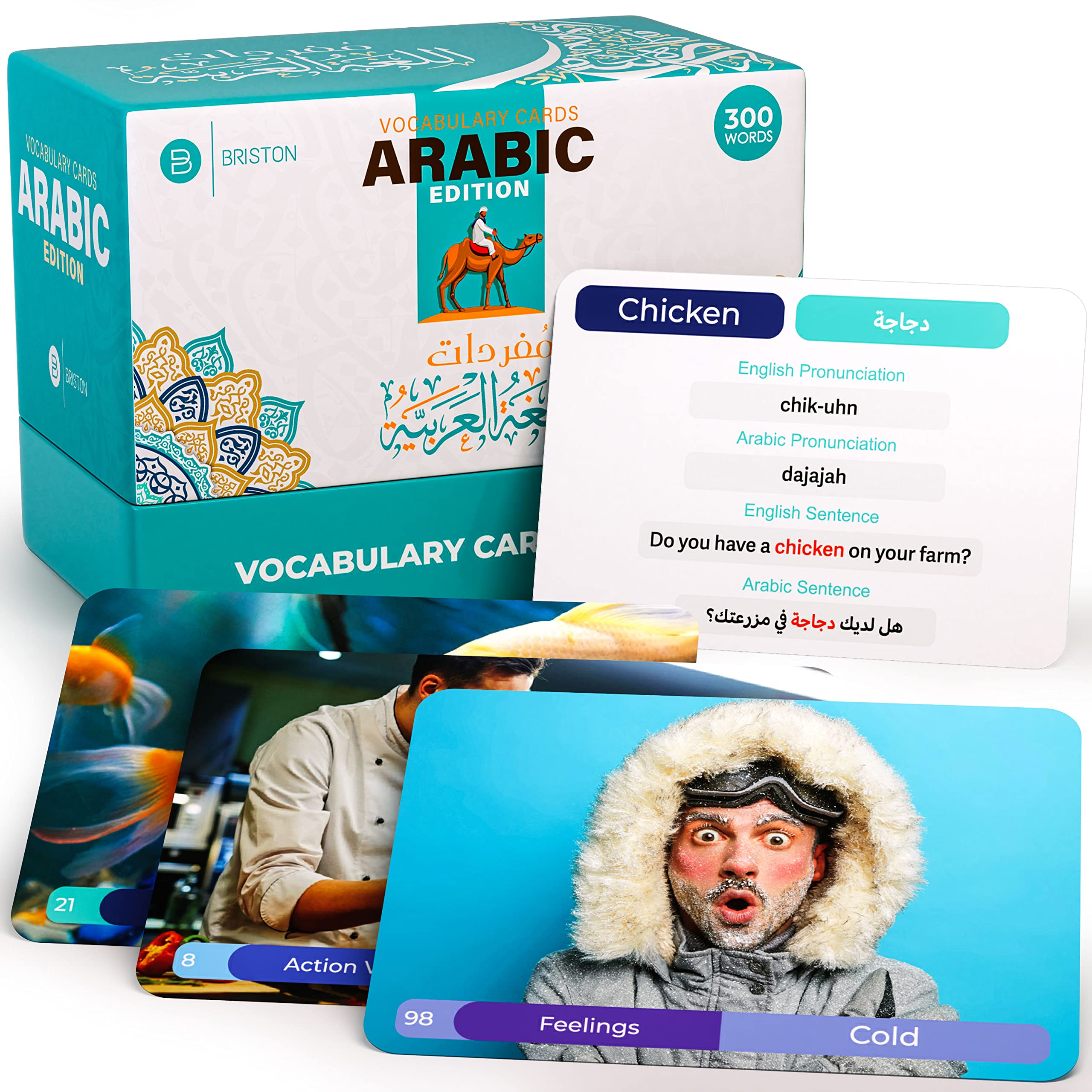 Snapklik.com : Briston Arabic Vocabulary 300 Flash Cards - Beginner Vocab