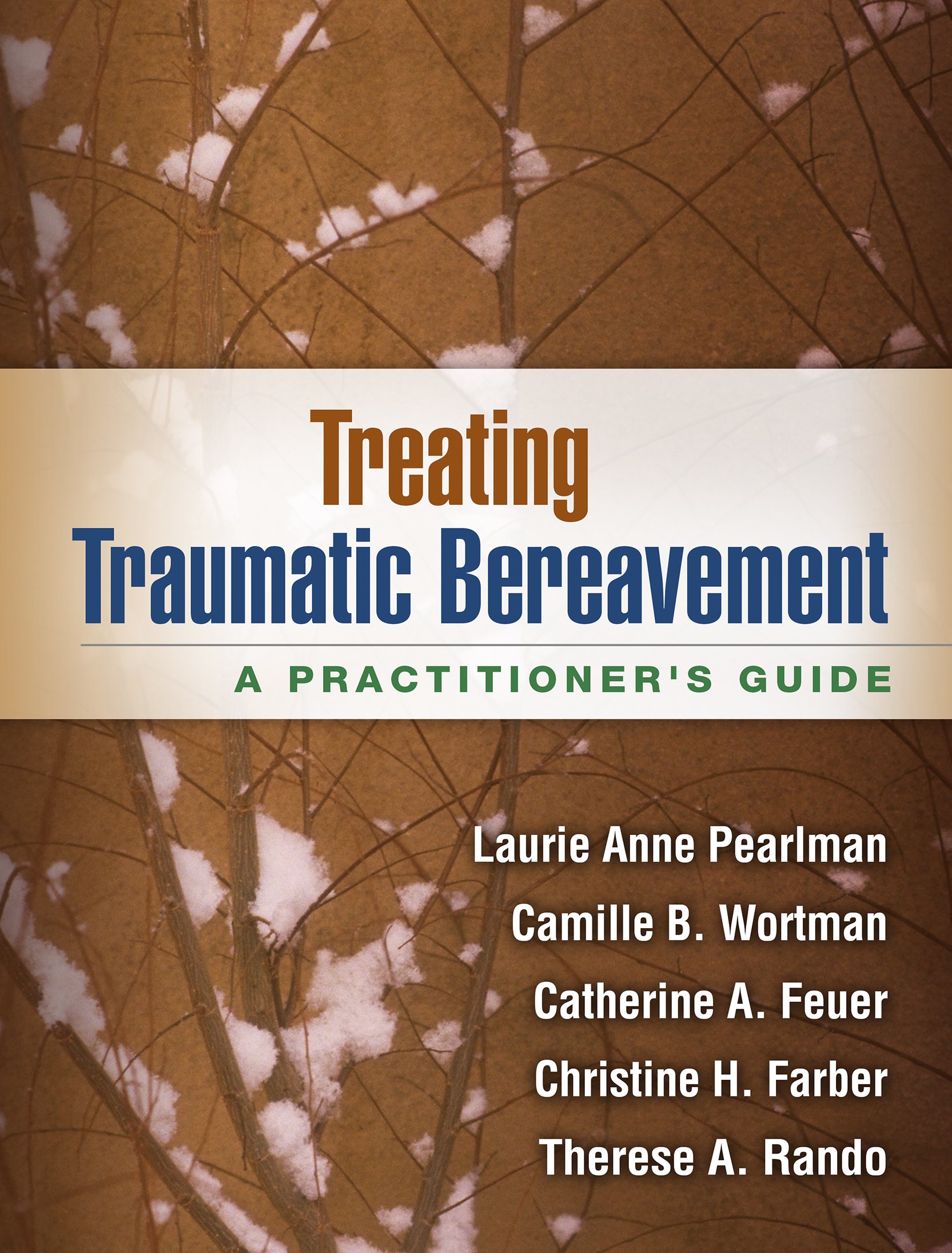Treating Traumatic Bereavement: A Practitioner's Guide: 9781462513178 ...