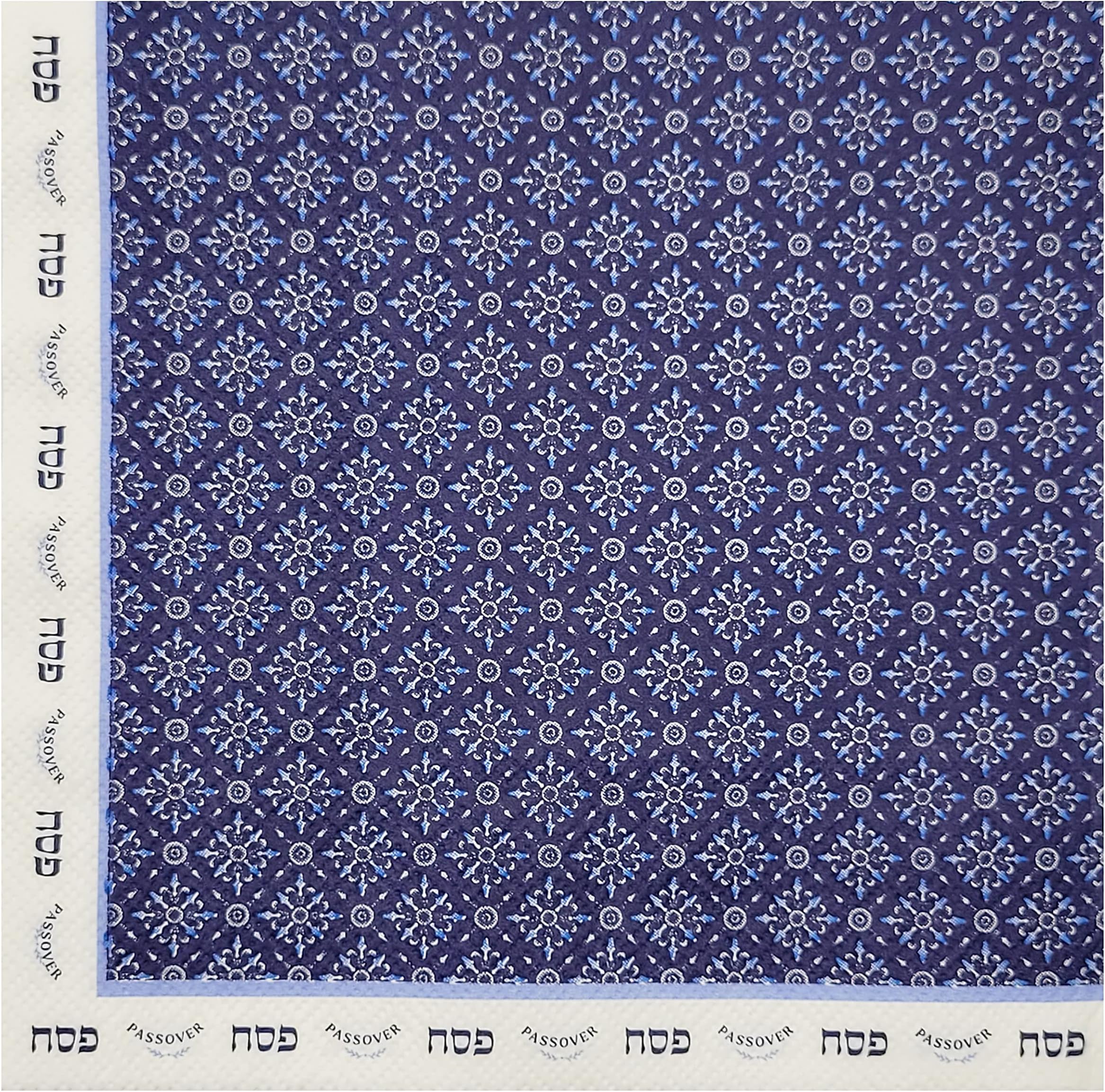 Amazon.com: Paper plates for Passover, 12 Paper Seder Plates, Pesach ...