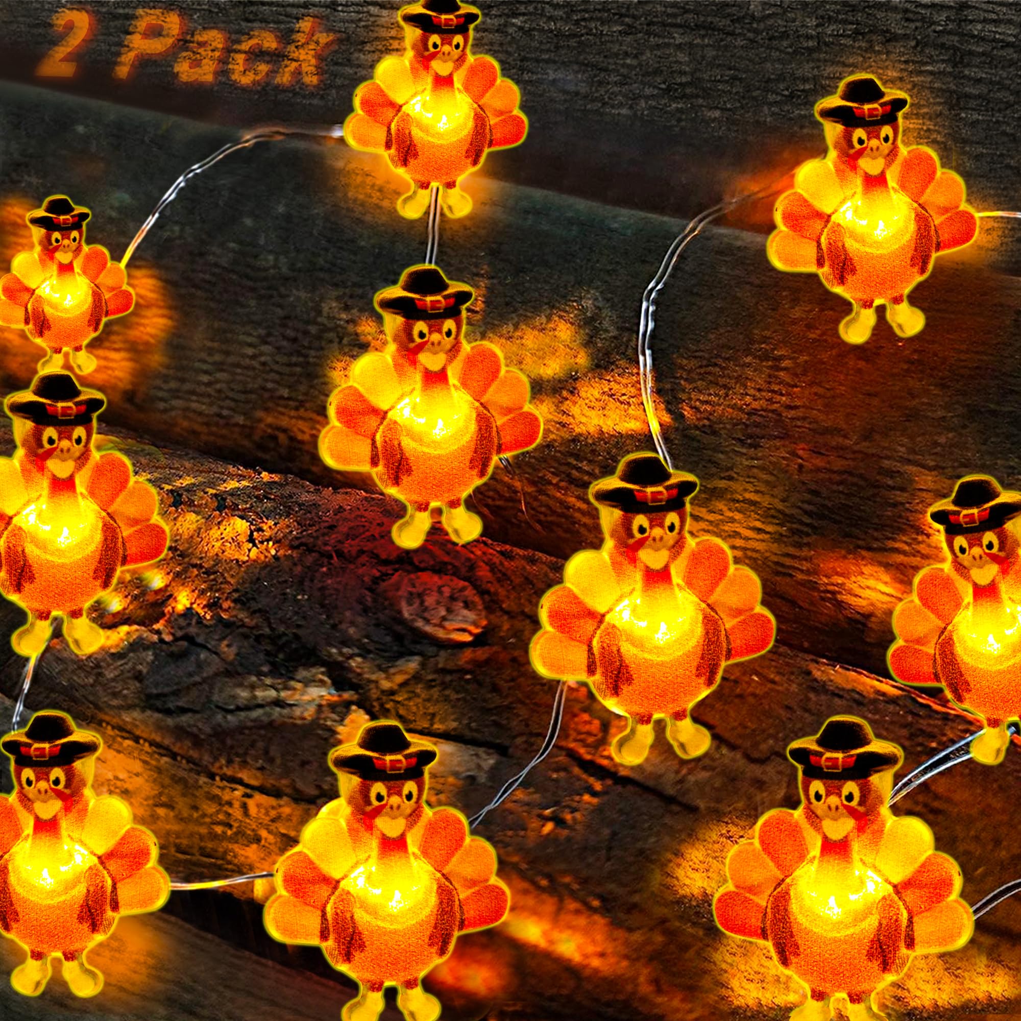 Amazon.com: 2 Pack Turkey Lights Thanksgiving Decorations with Timer ...