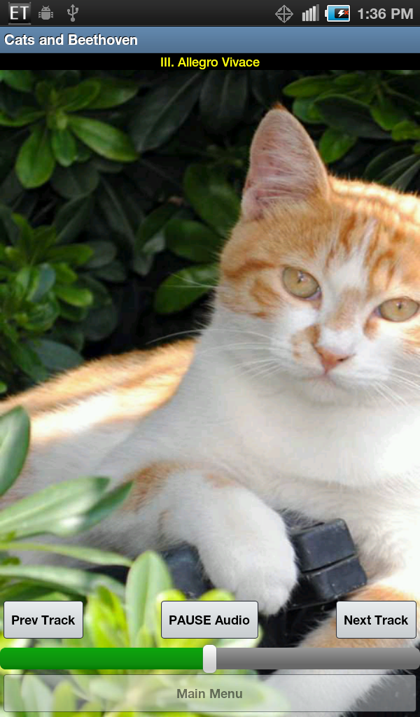 Classical Music - Cats and Beethoven - App on Amazon Appstore