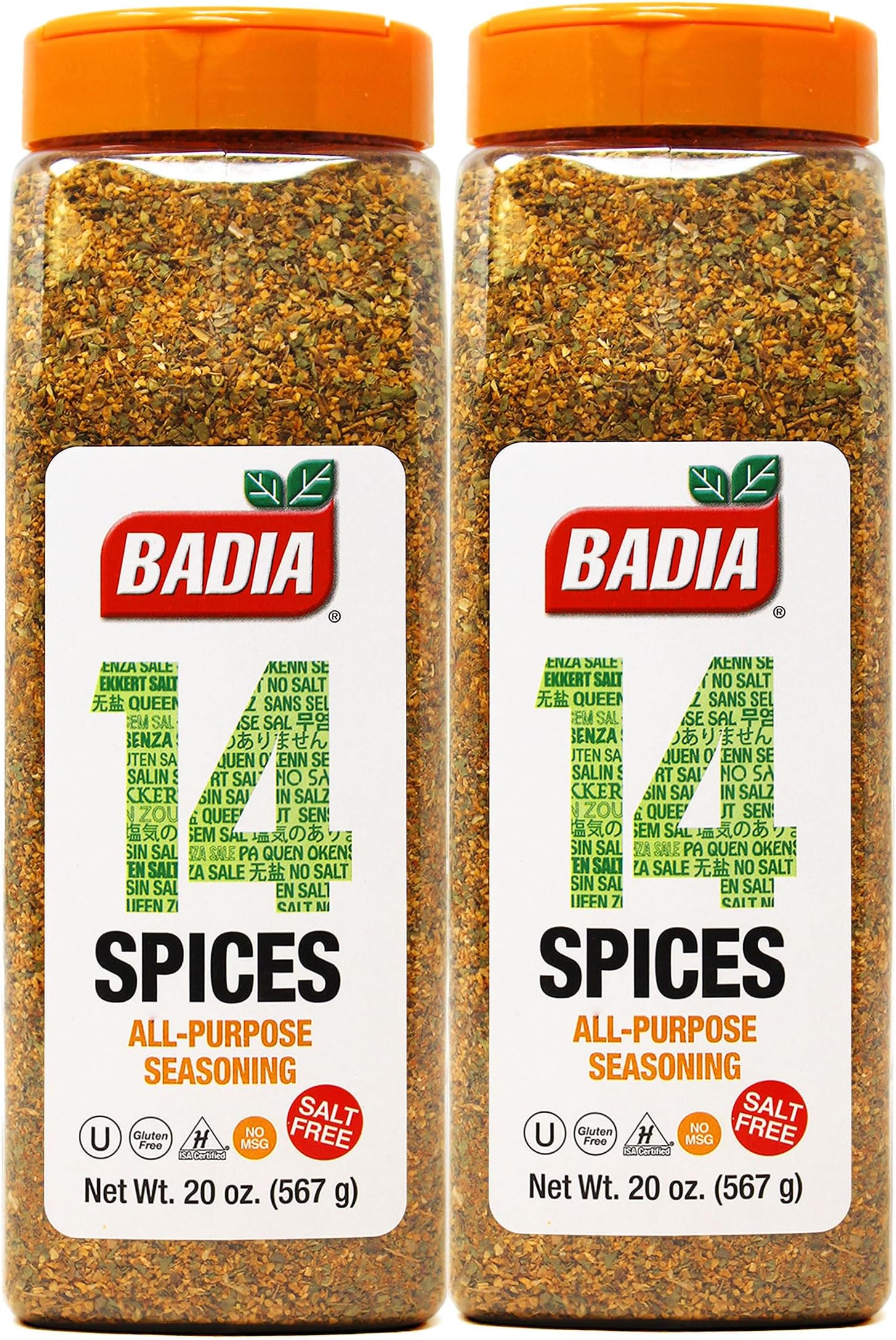 Amazon.com : Badia 14 Spices Salt-Free All Purpose Seasoning, 20 oz ...