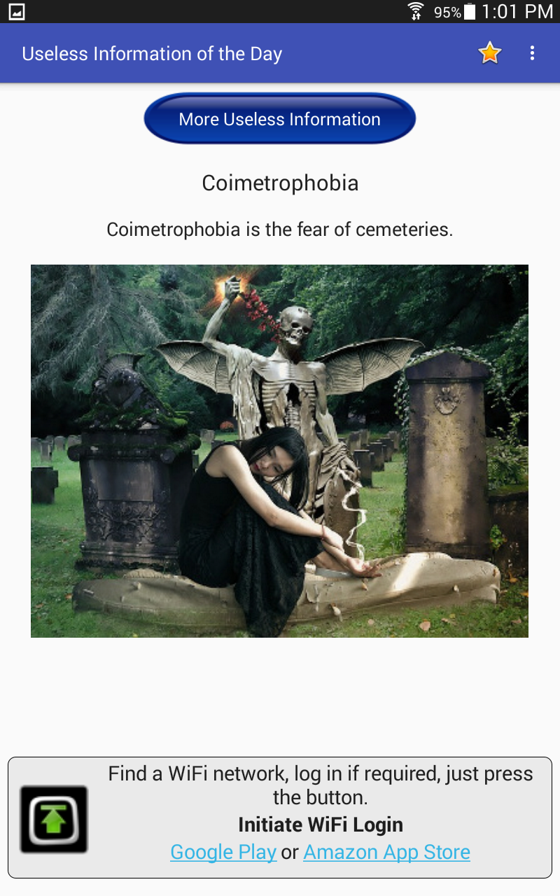 Coimetrophobia