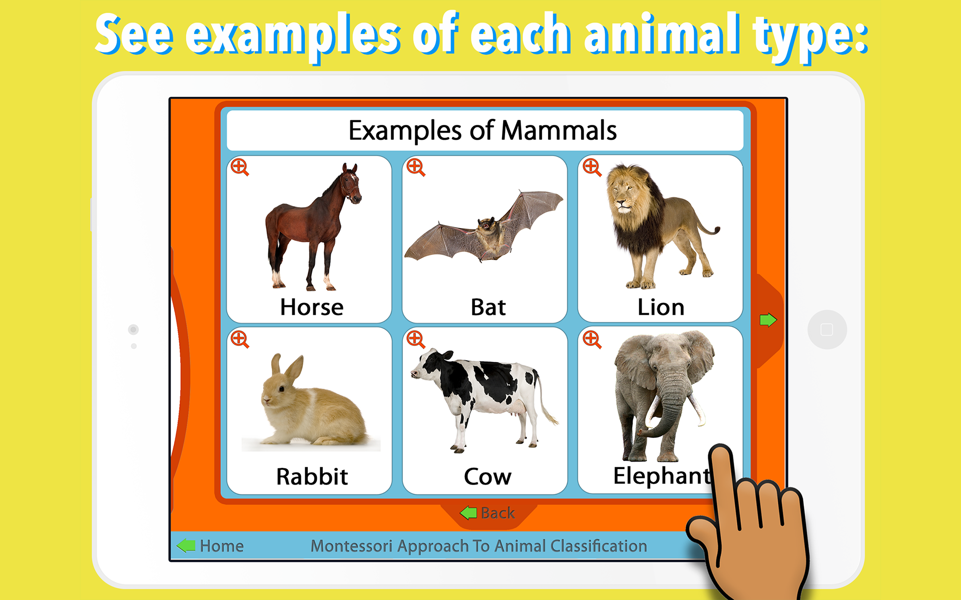Animal Kingdom Vertebrates - Montessori Zoology - App on Amazon Appstore